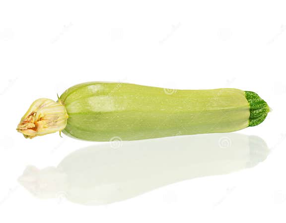 Vegetable marrow stock photo. Image of fleshy, meal, object - 44282796