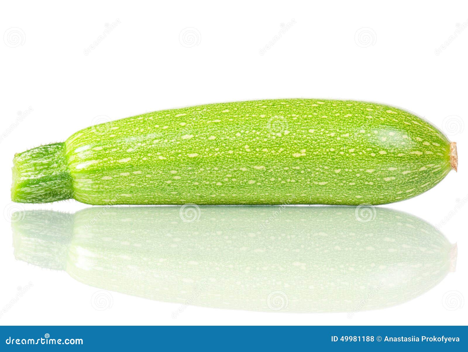 Vegetable marrow stock photo. Image of grow, abundance - 49981188