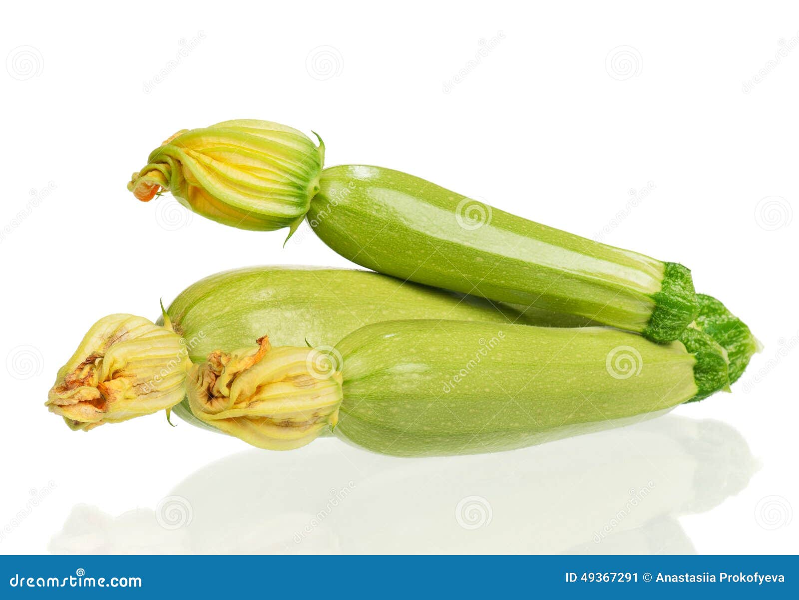 Vegetable marrow stock image. Image of healthy, marrow - 49367291