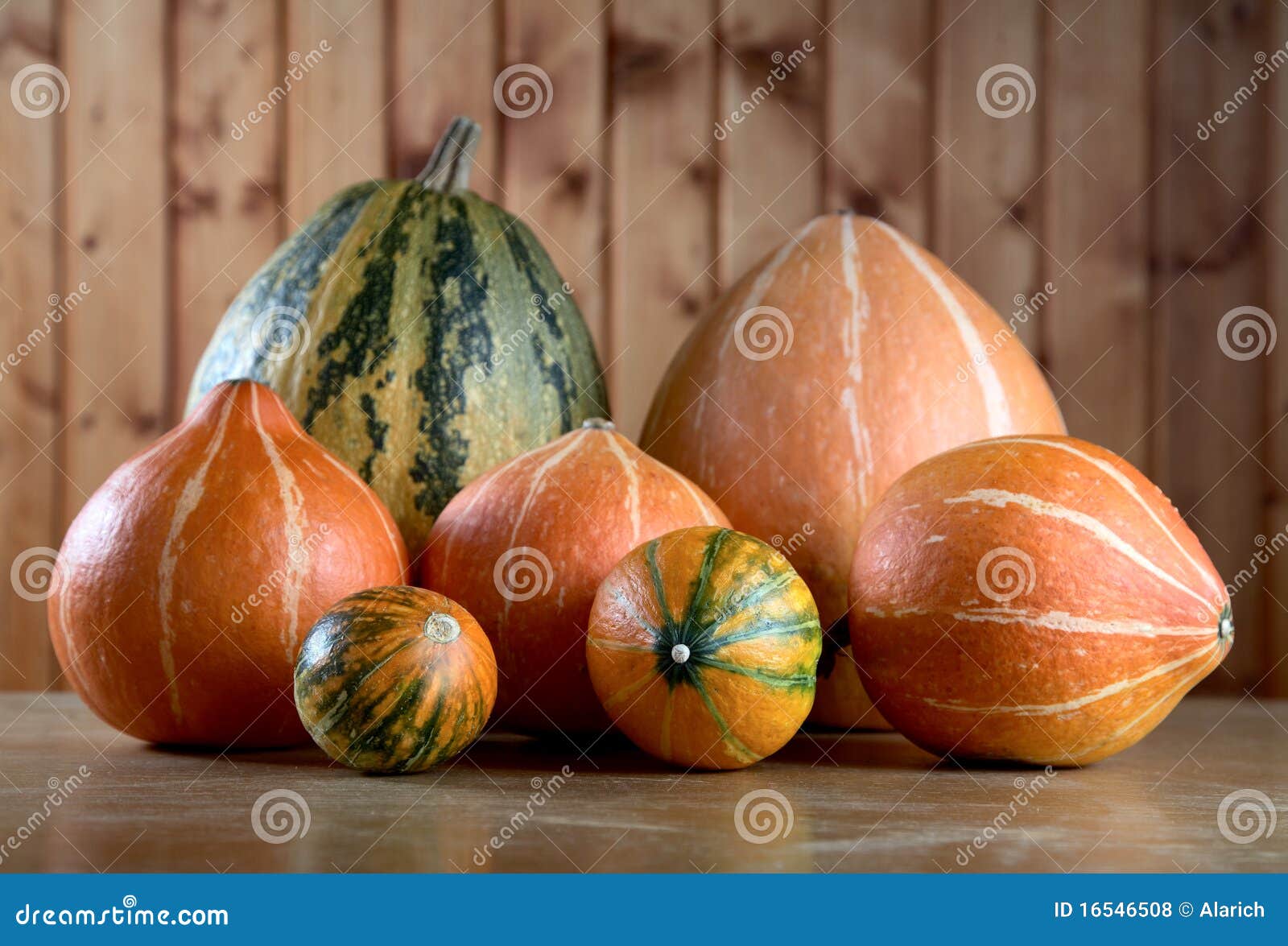 Vegetable Marrow and Pumpkins Stock Photo - Image of healthy, farm ...