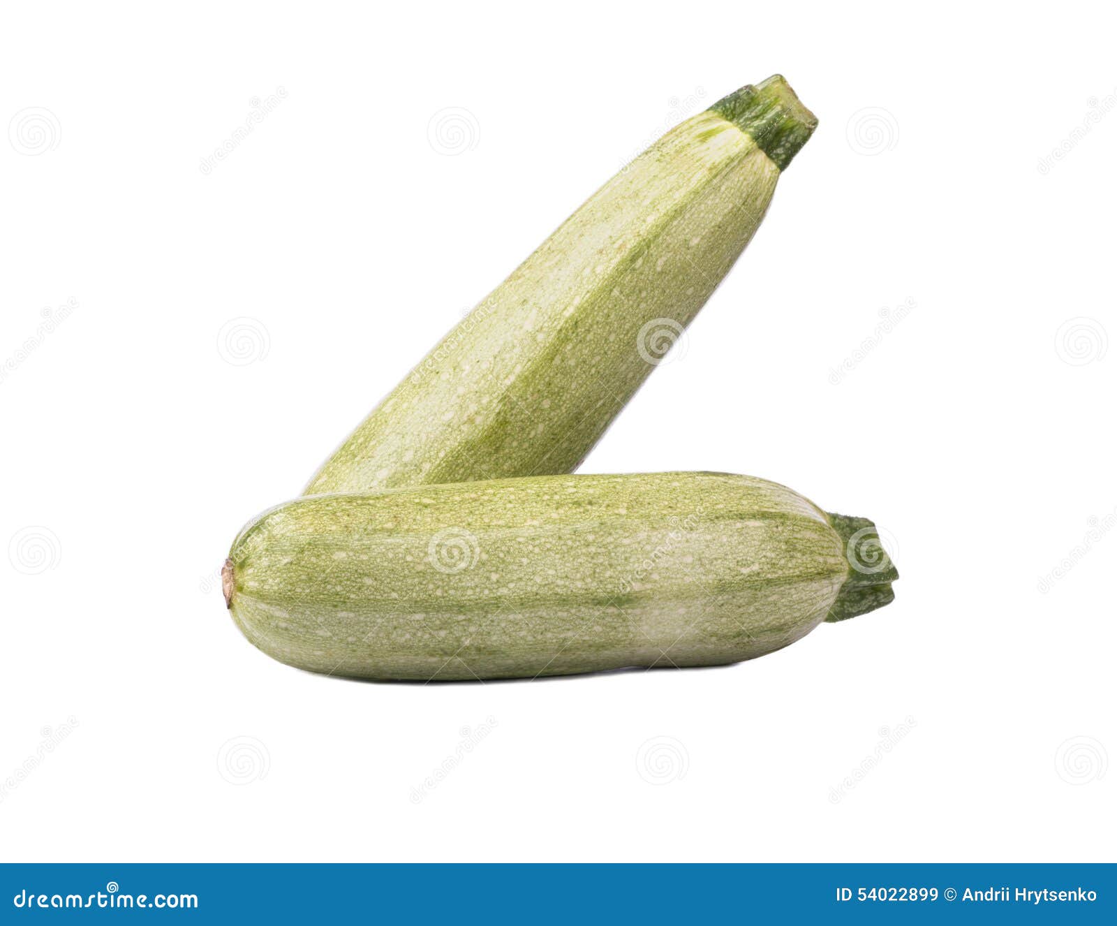 Vegetable marrow stock image. Image of close, organic - 54022899