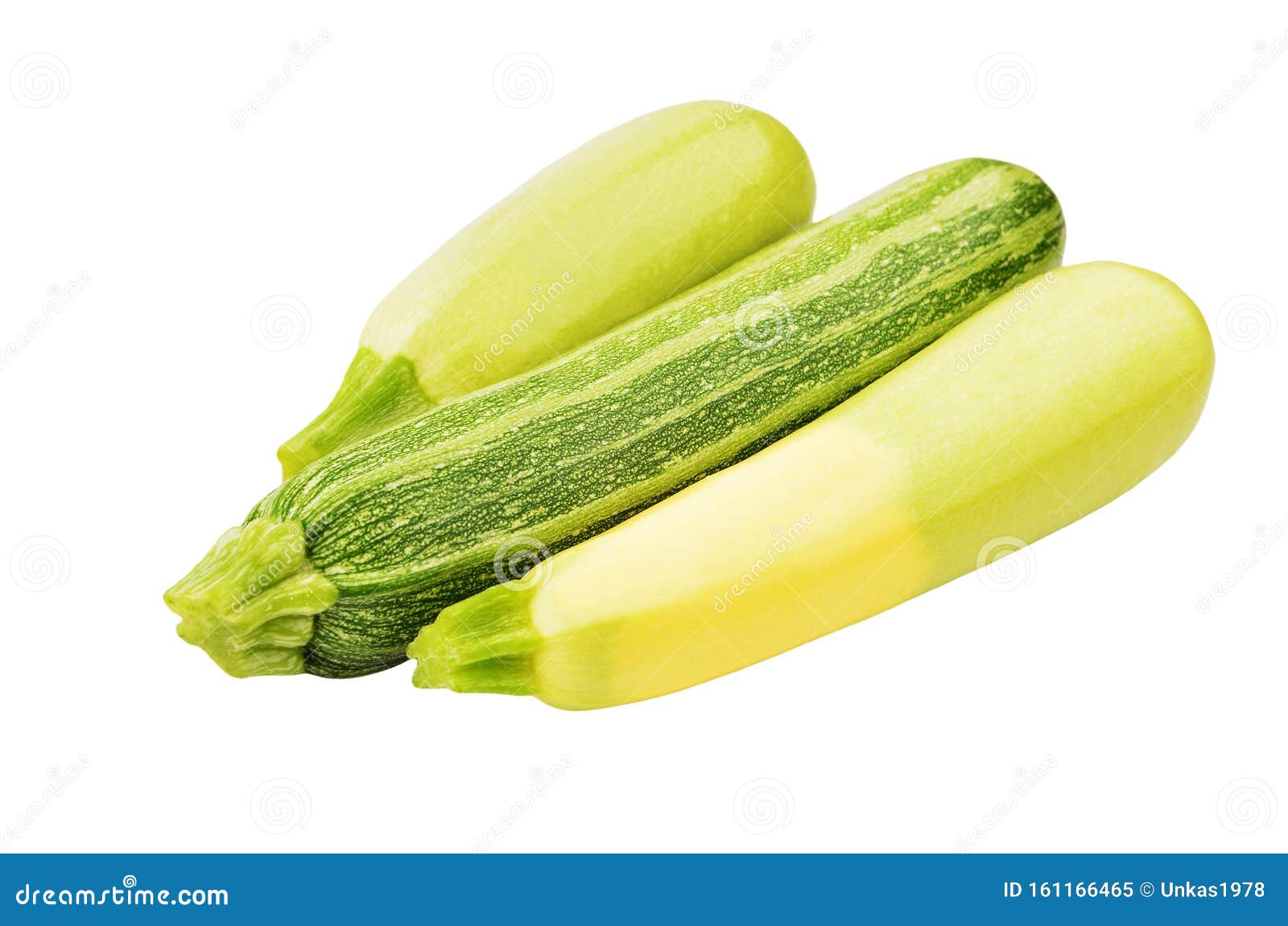 Vegetable marrow zucchini stock image. Image of healthy - 161166465
