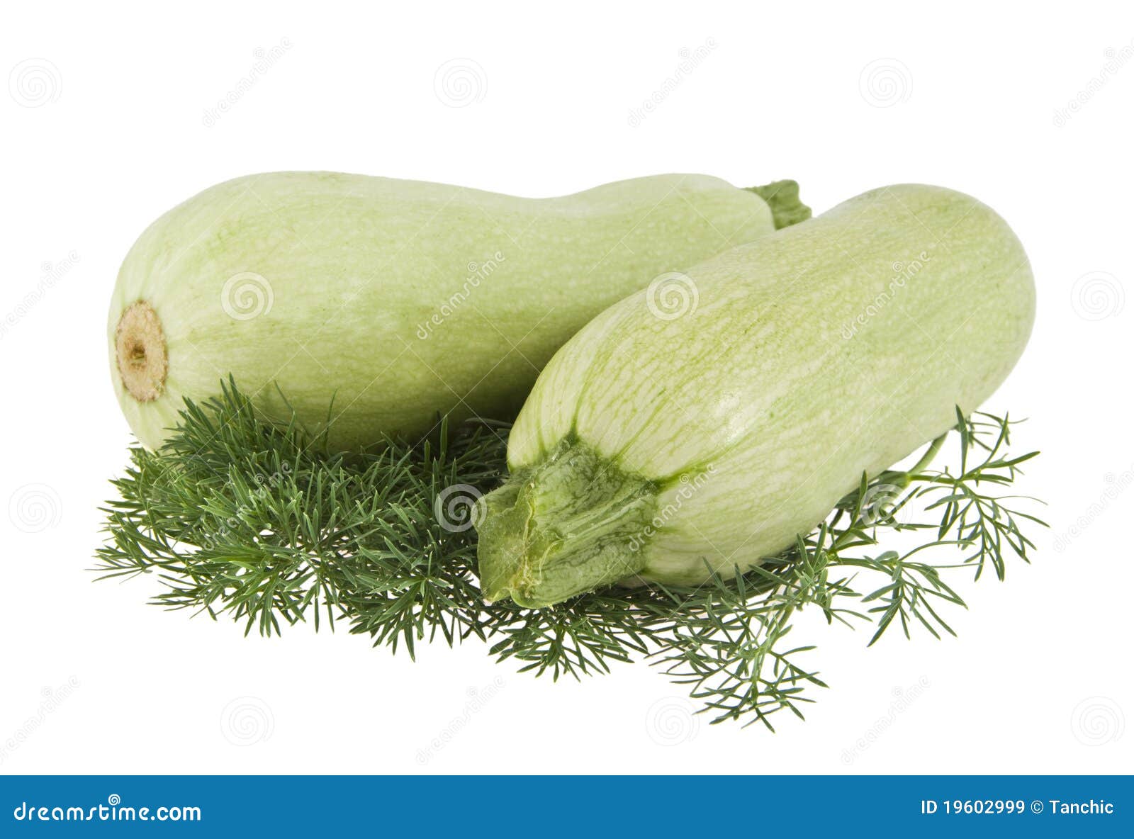 Vegetable marrows stock image. Image of uncooked, green - 19602999