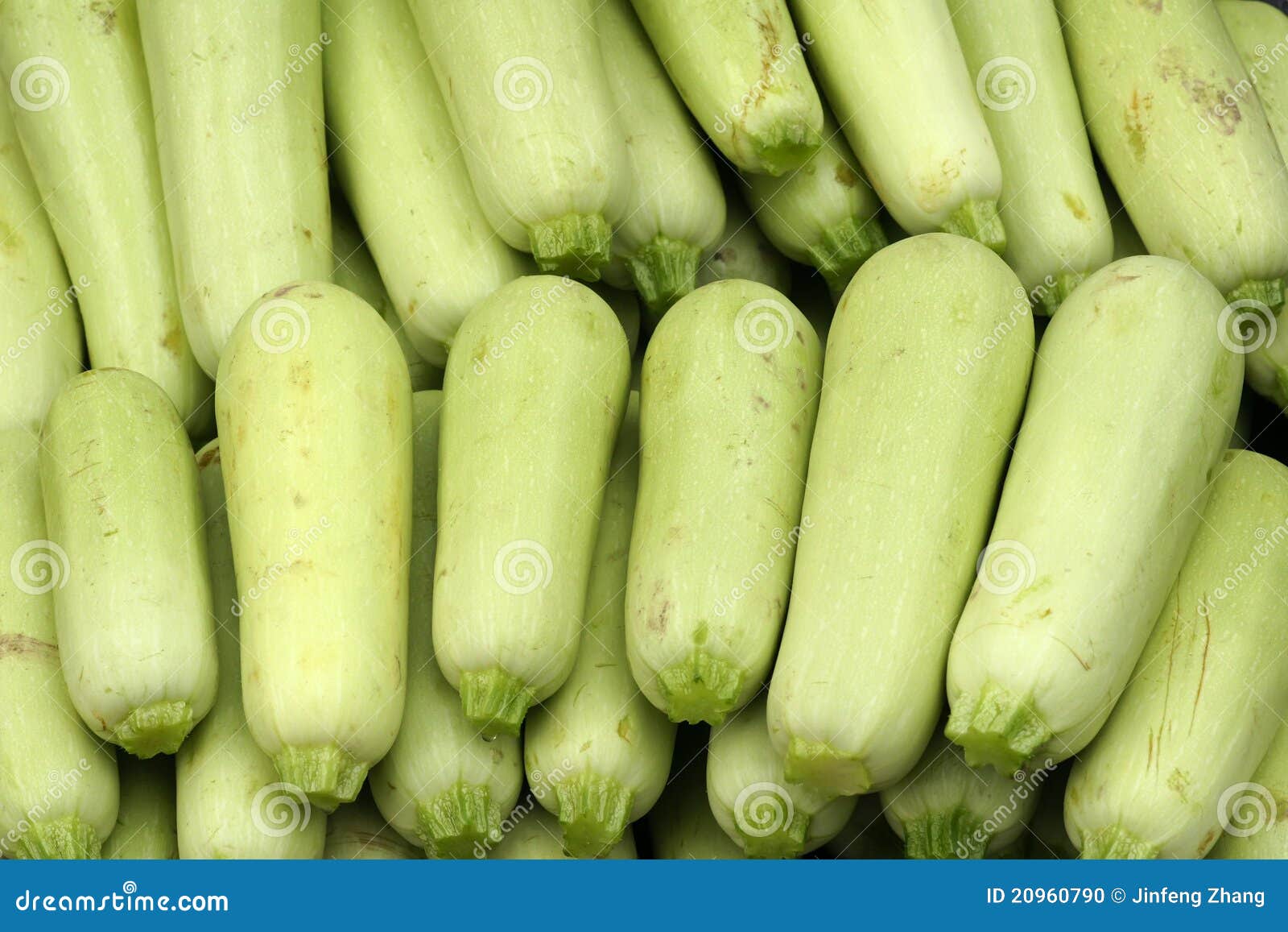 Vegetable marrows stock photo. Image of eating, unsalted - 20960790