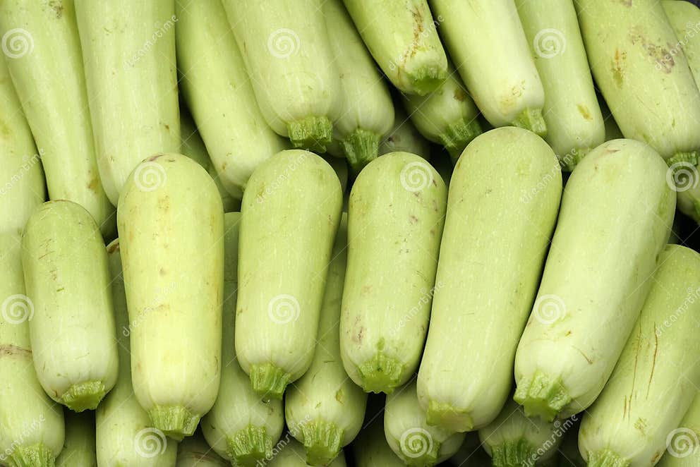 Vegetable marrows stock photo. Image of eating, unsalted - 20960790
