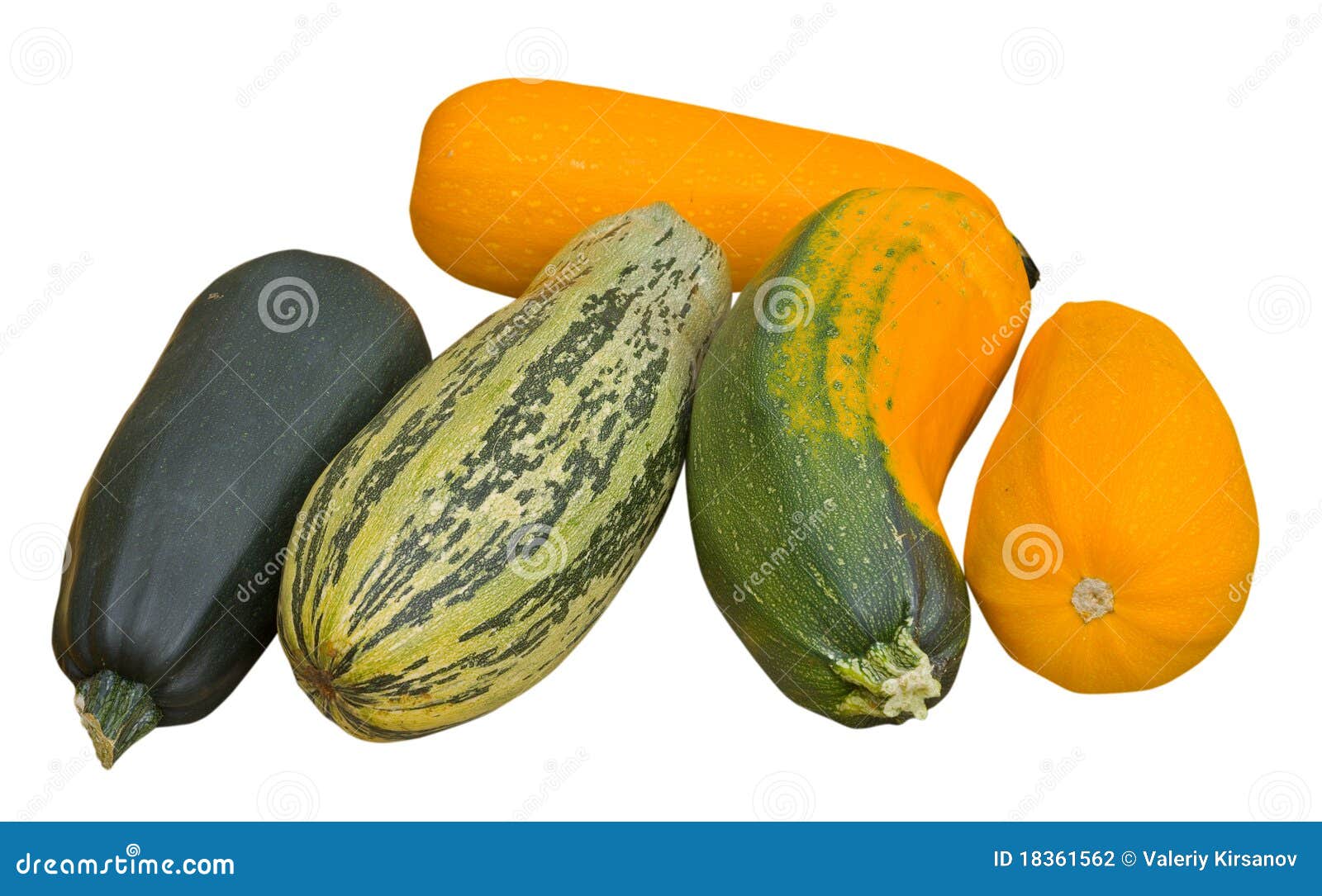 Vegetable marrows 36 stock photo. Image of cultivated - 18361562