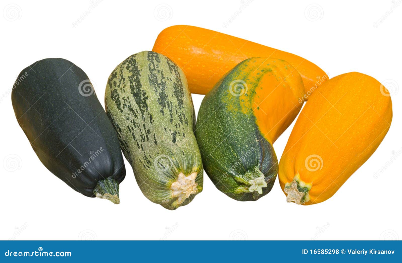Vegetable marrows 7 stock photo. Image of freshness, edible - 16585298
