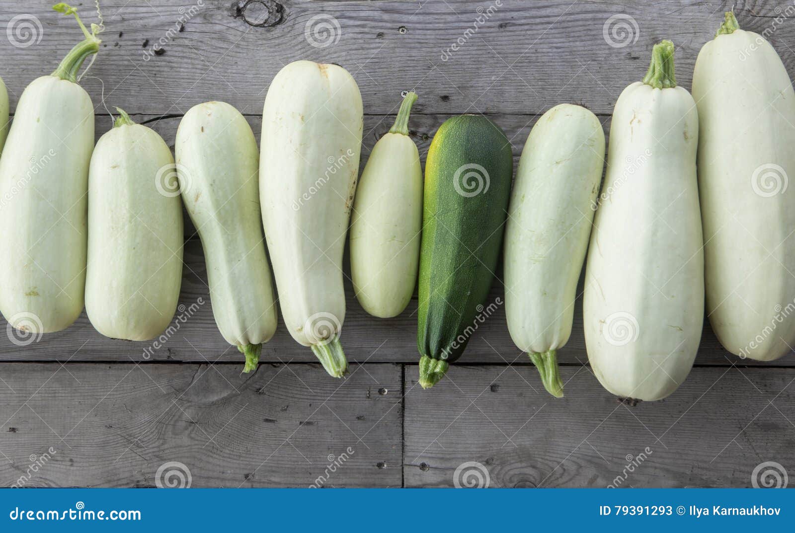 Vegetable Marrows in the Garden Stock Image - Image of healthy, garden ...