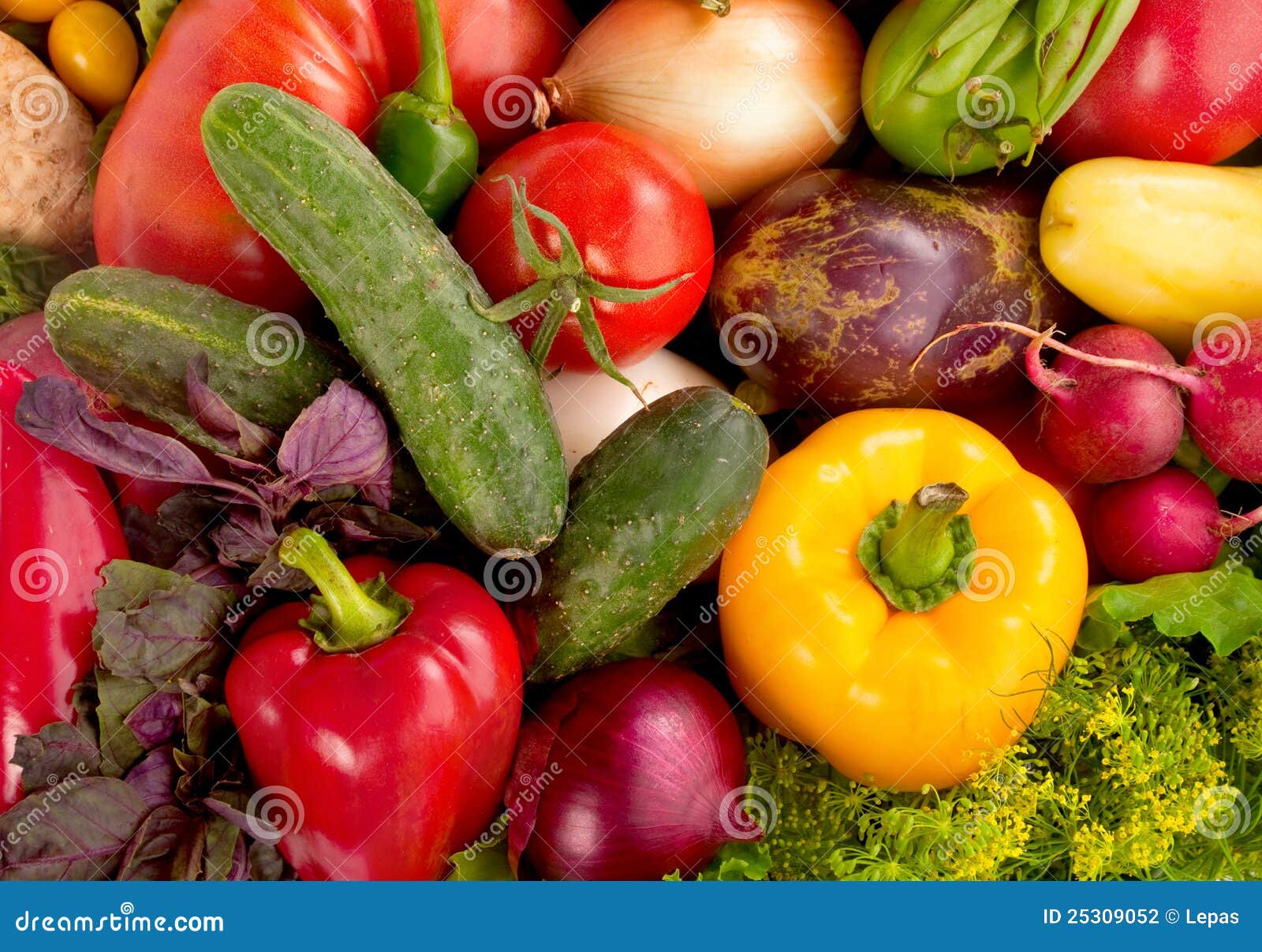 Vegetable mix stock photo. Image of tomato, radish, green - 25309052