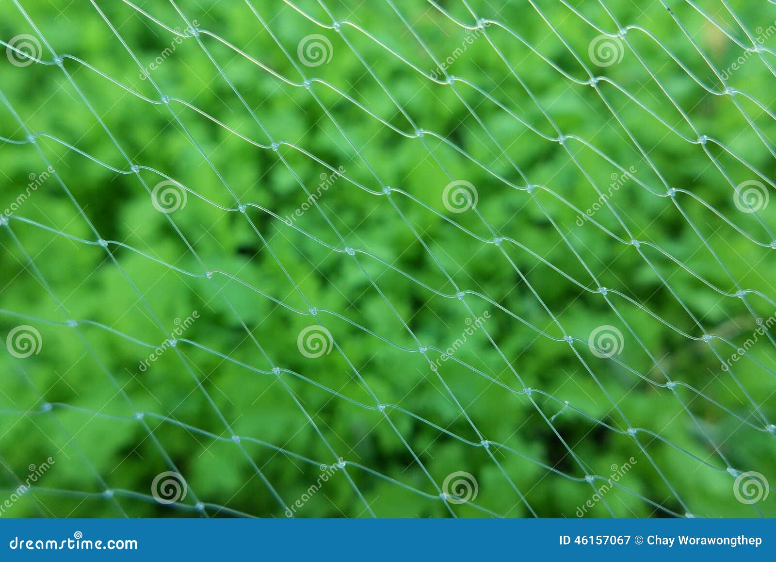 Vegetable net. stock image. Image of grating, agricultural - 46157067