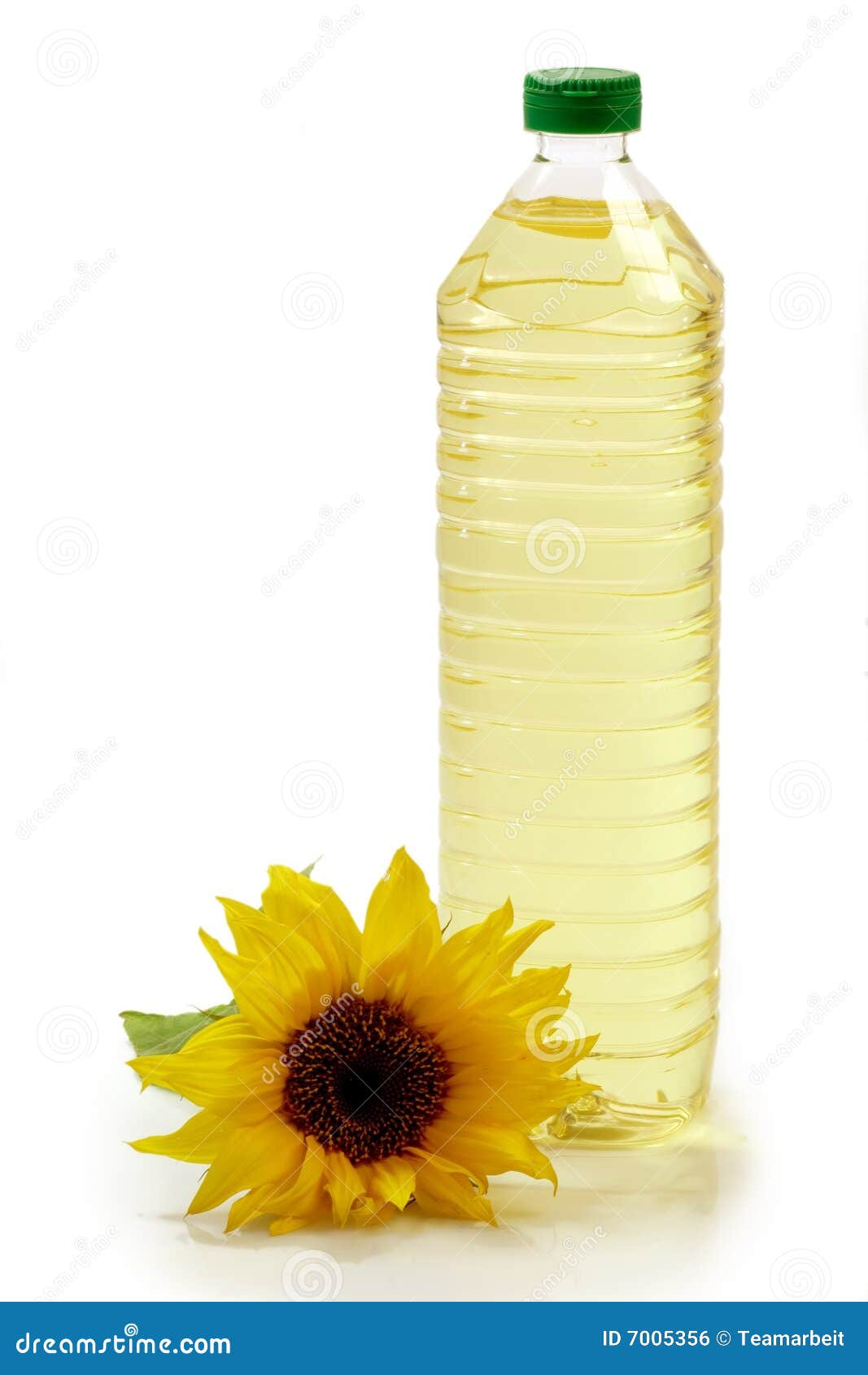 Vegetable Oil stock photo. Image of cooking, sunflower - 7005356