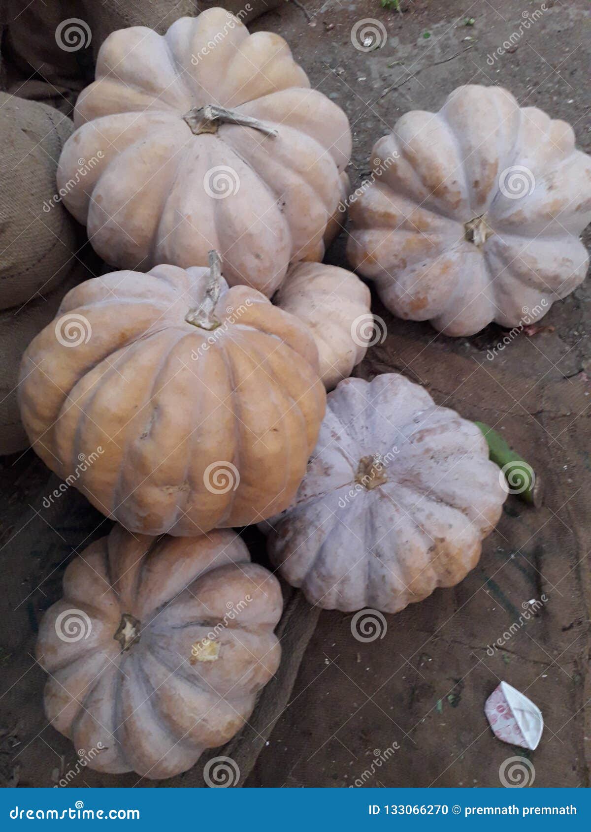 Vegetable stock photo. Image of vegetables, parangikai - 133066270