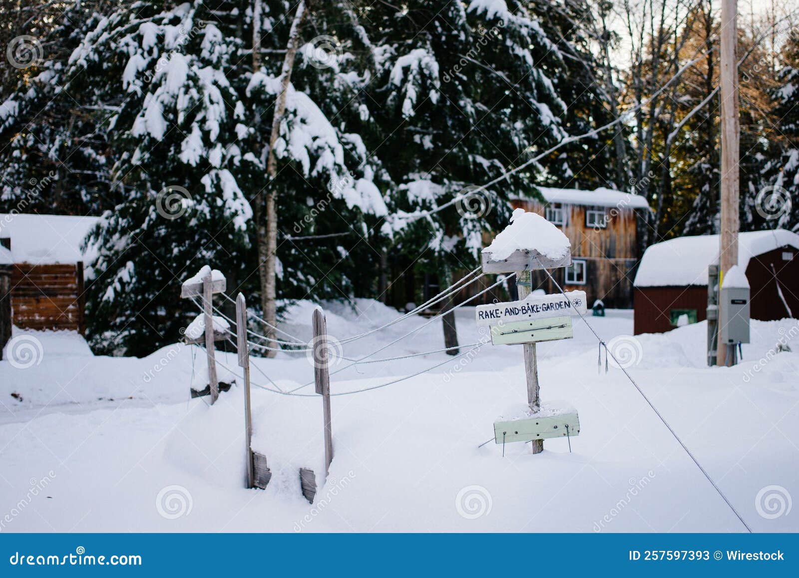 Vegetable Patch Covered in White Snow in a Forest in Daylight Stock ...