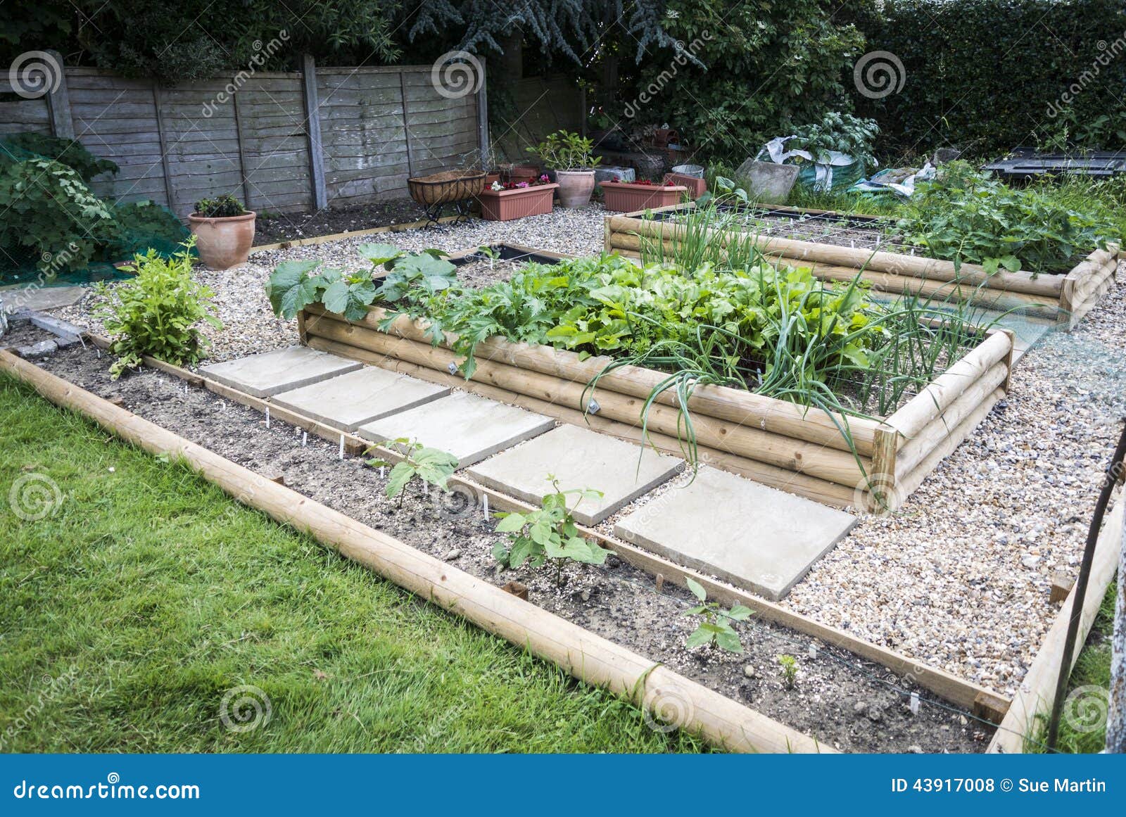 Vegetable Patch stock photo. Image of cultivate, agricultural - 43917008