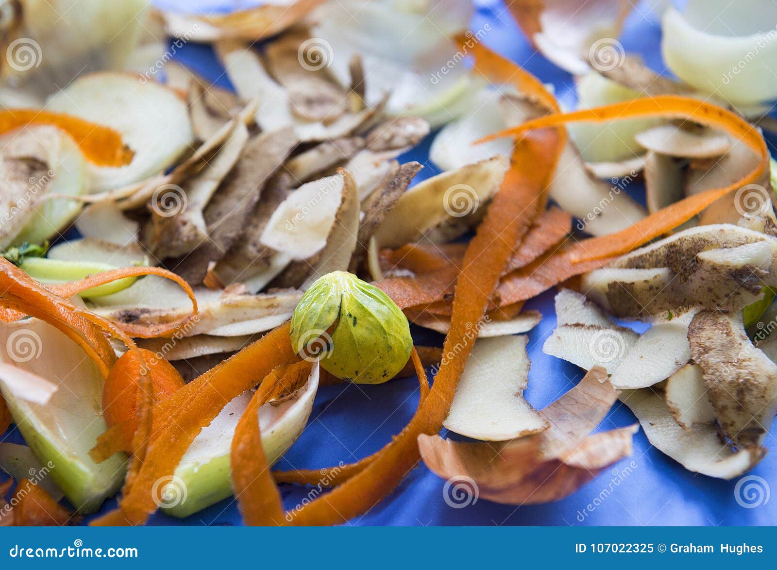 Vegetable Peel stock image. Image of chop, background - 107022325