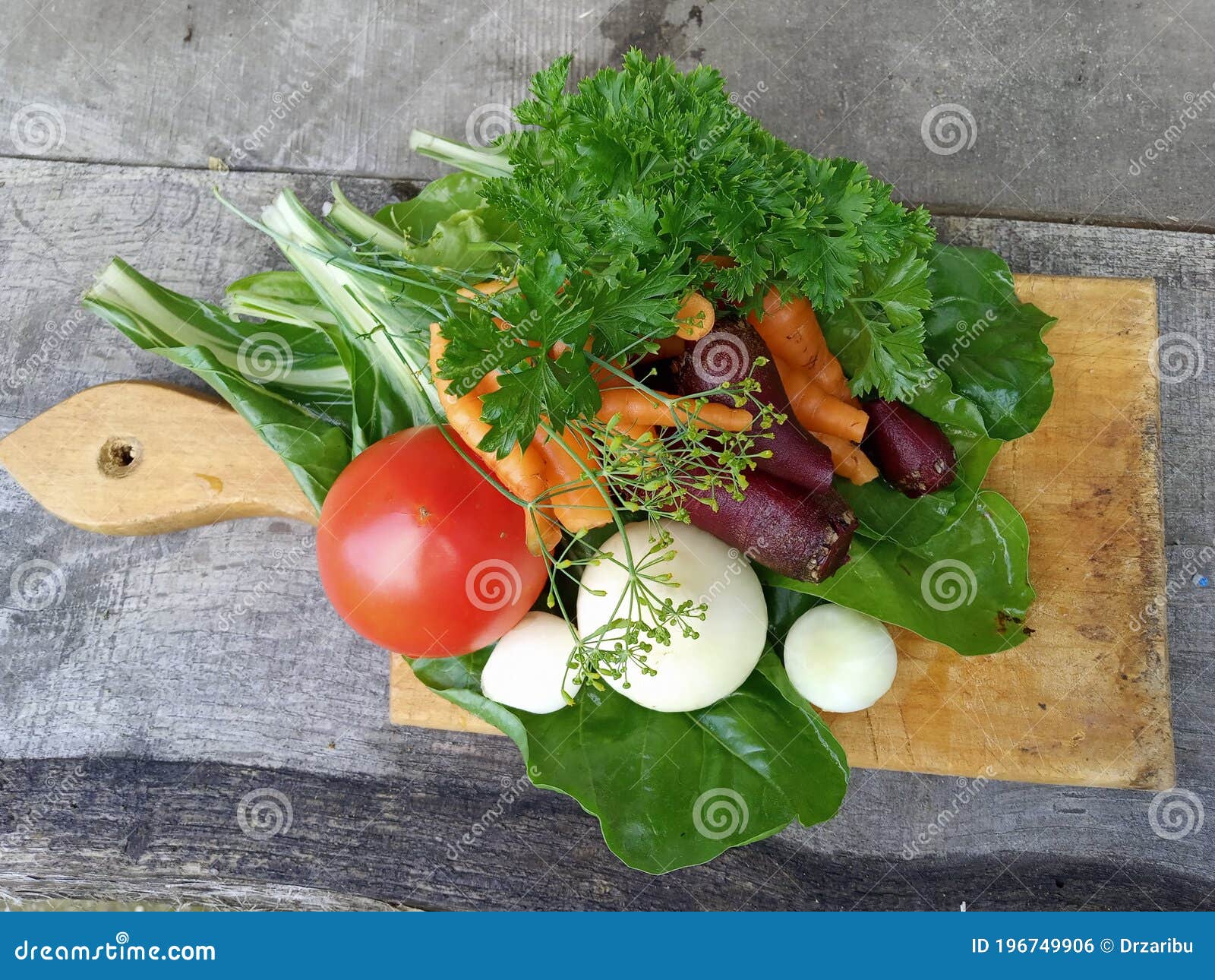 Vegetable Permaculture from Garden Stock Photo - Image of lunch, fish ...