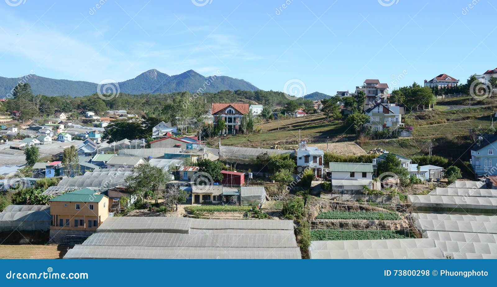 Vegetable Plantations in Bao Loc, Vietnam Editorial Stock Photo - Image ...