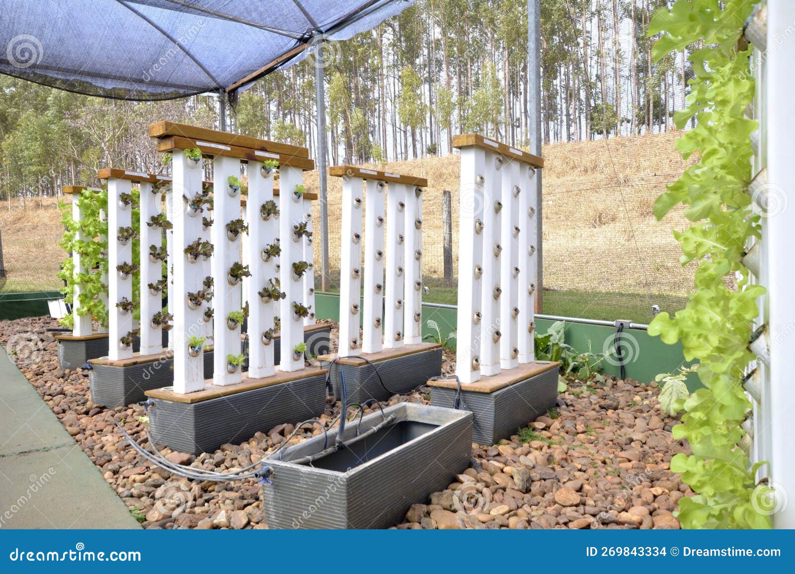 Pvc Hydroponics Wall at Sandra Karcher blog