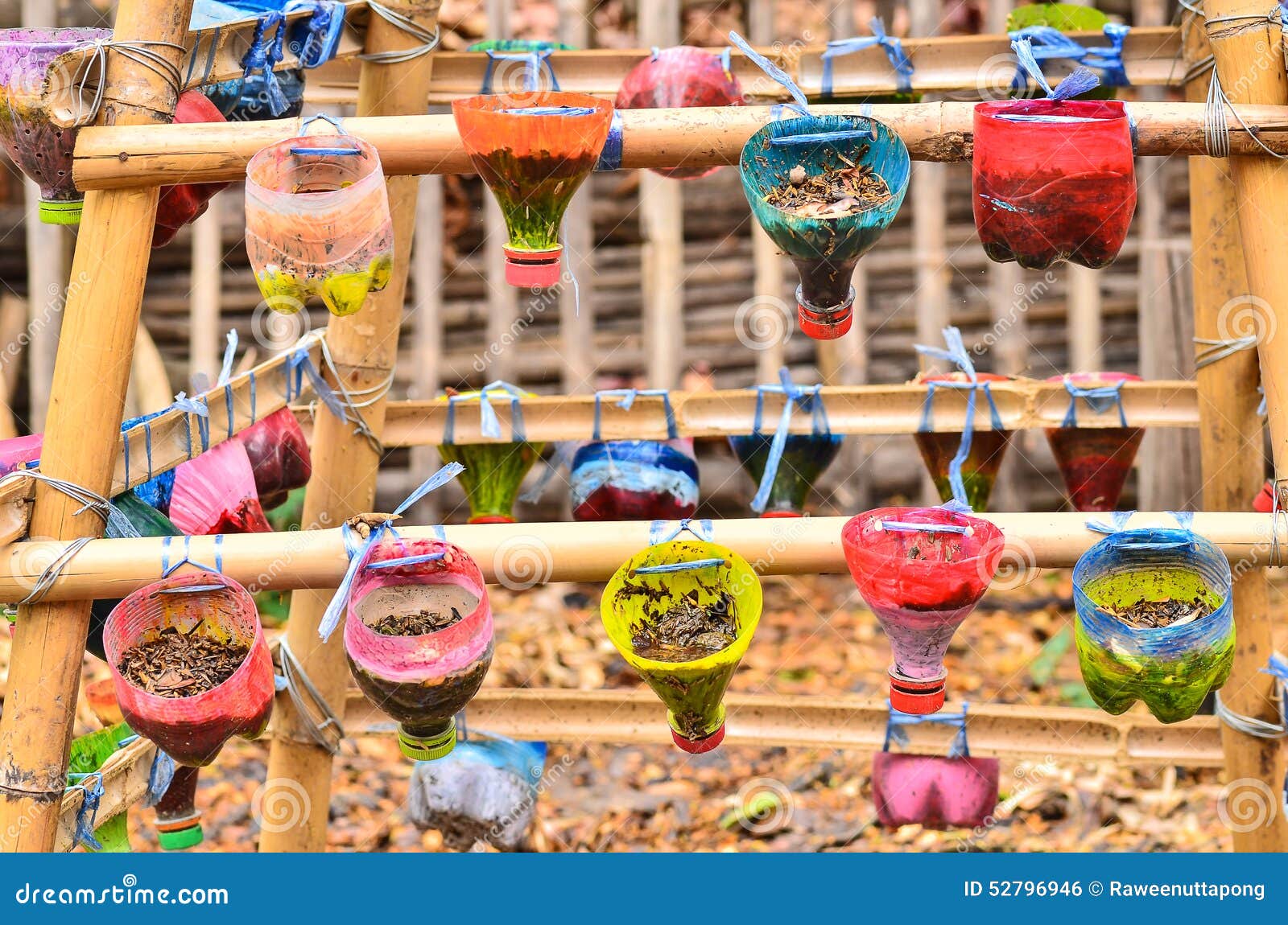 Vegetable planting pot stock photo. Image of branch, organic - 52796946