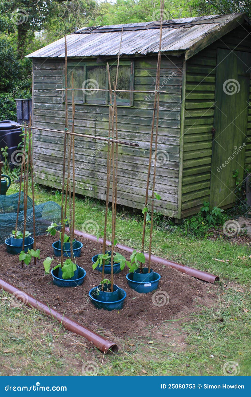Vegetable Plot stock image. Image of structure, gardening - 25080753
