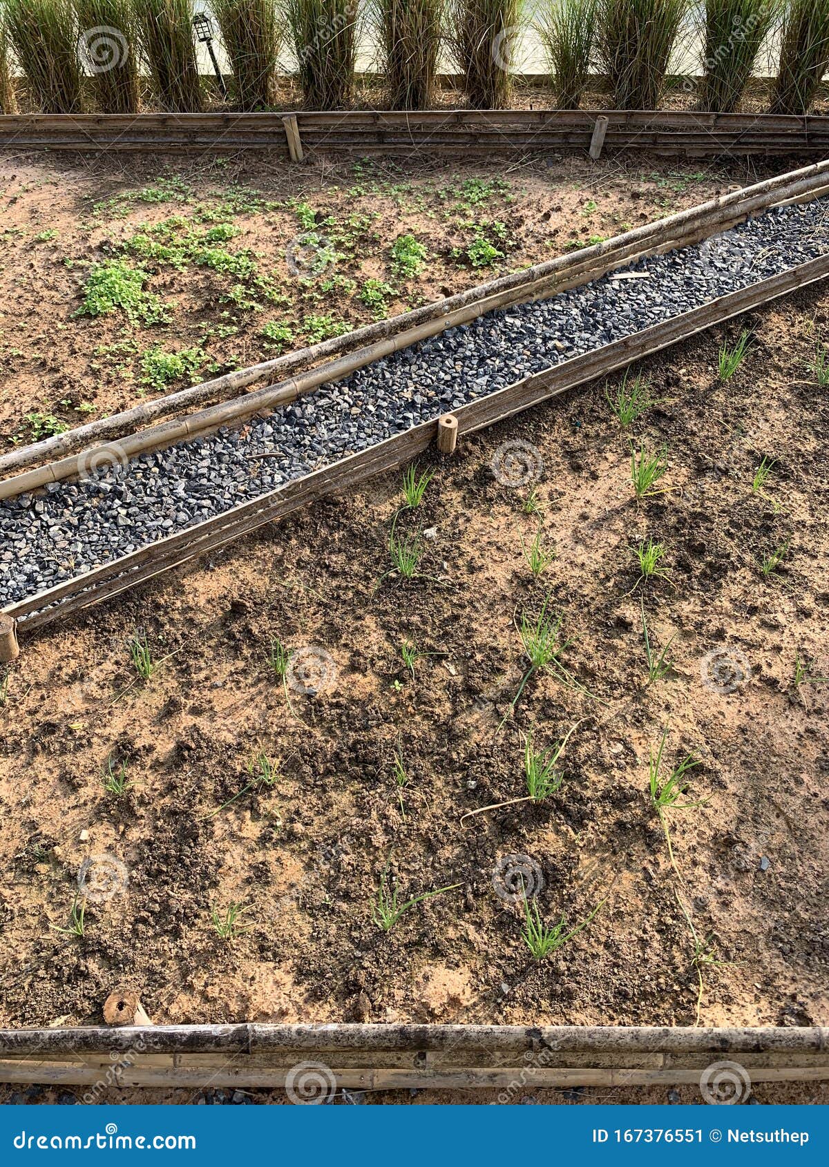 Vegetable Plot and Soil Preparation in the Garden Stock Image - Image ...