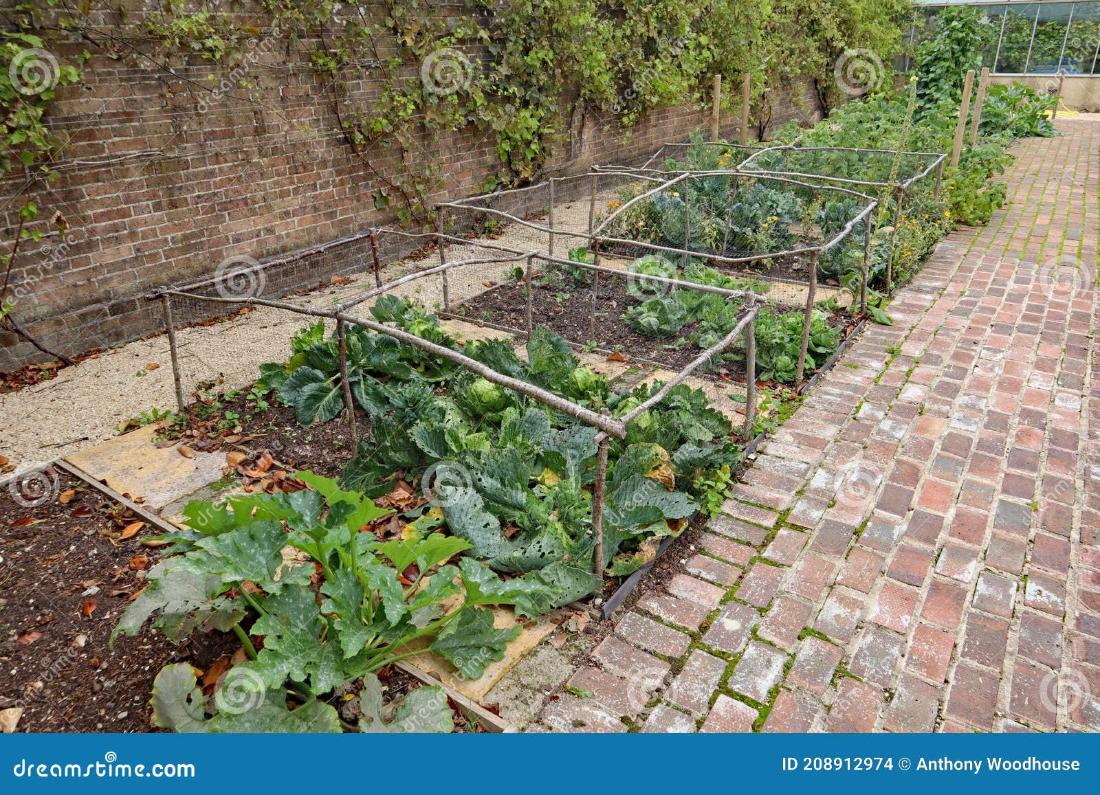 Vegetable Plots Divided into Squares and Protected by a Framework of ...