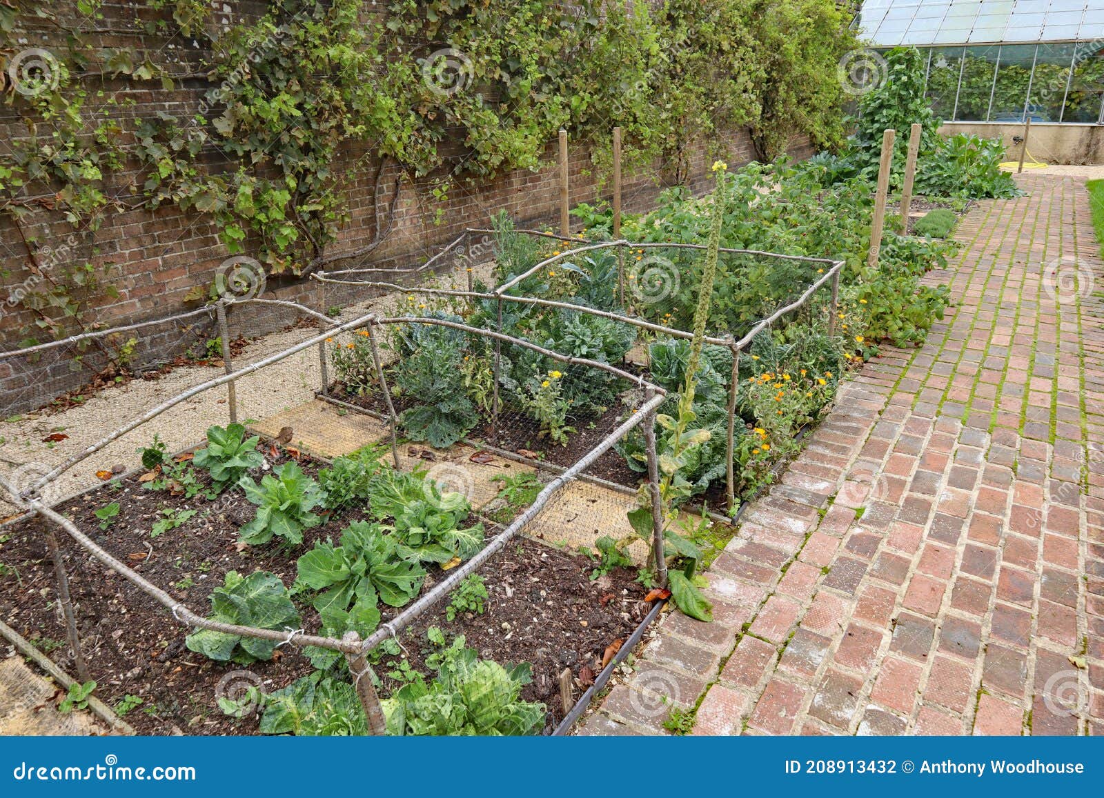 Vegetable Plots Divided into Squares and Protected by a Framework of ...