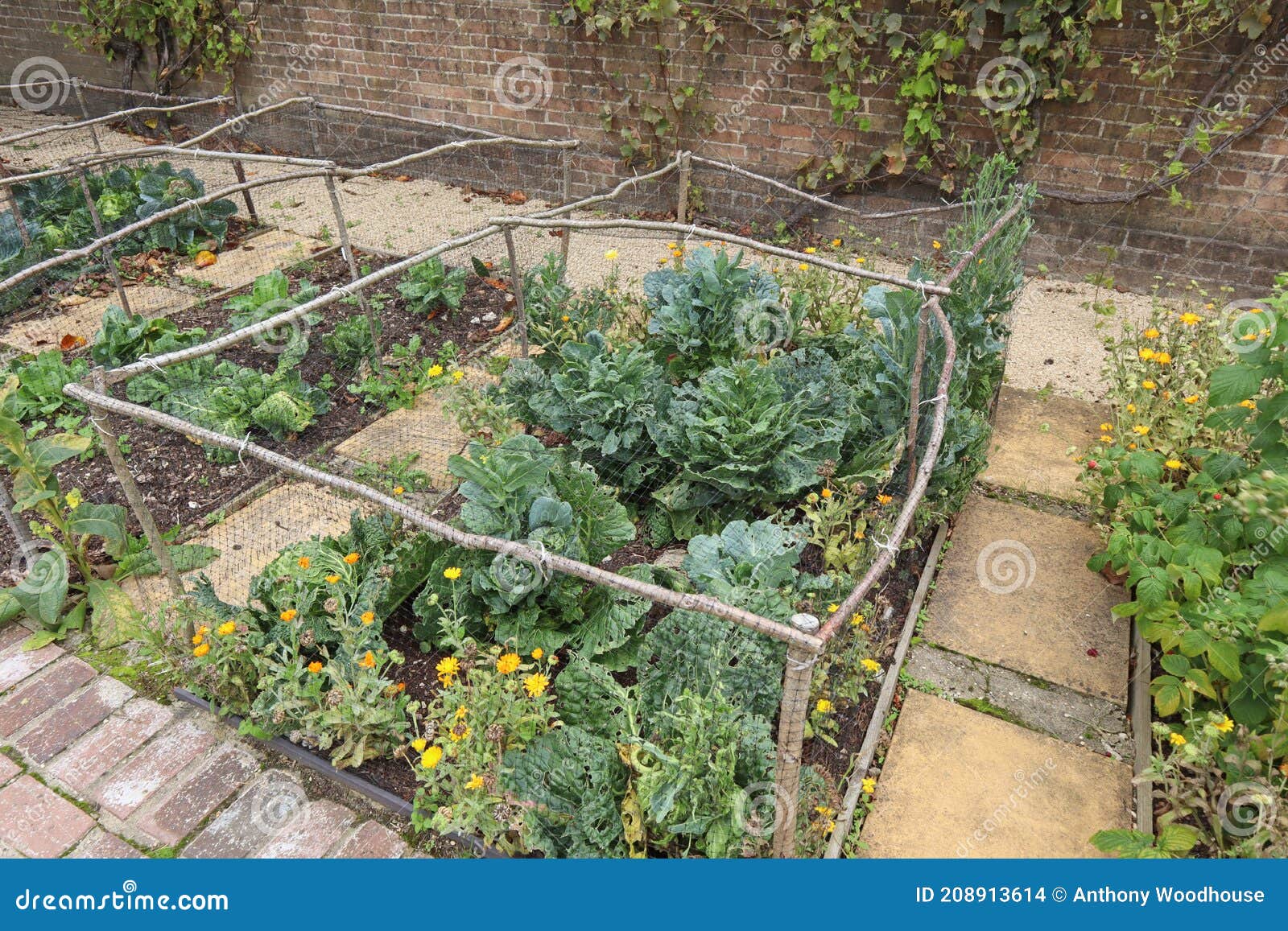 Vegetable Plots Divided into Squares and Protected by a Framework of ...
