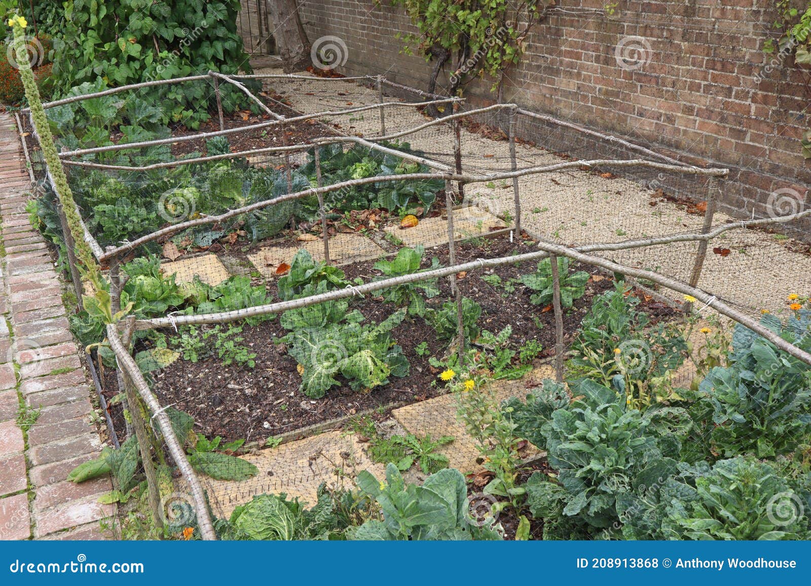 Vegetable Plots Divided into Squares and Protected by a Framework of ...