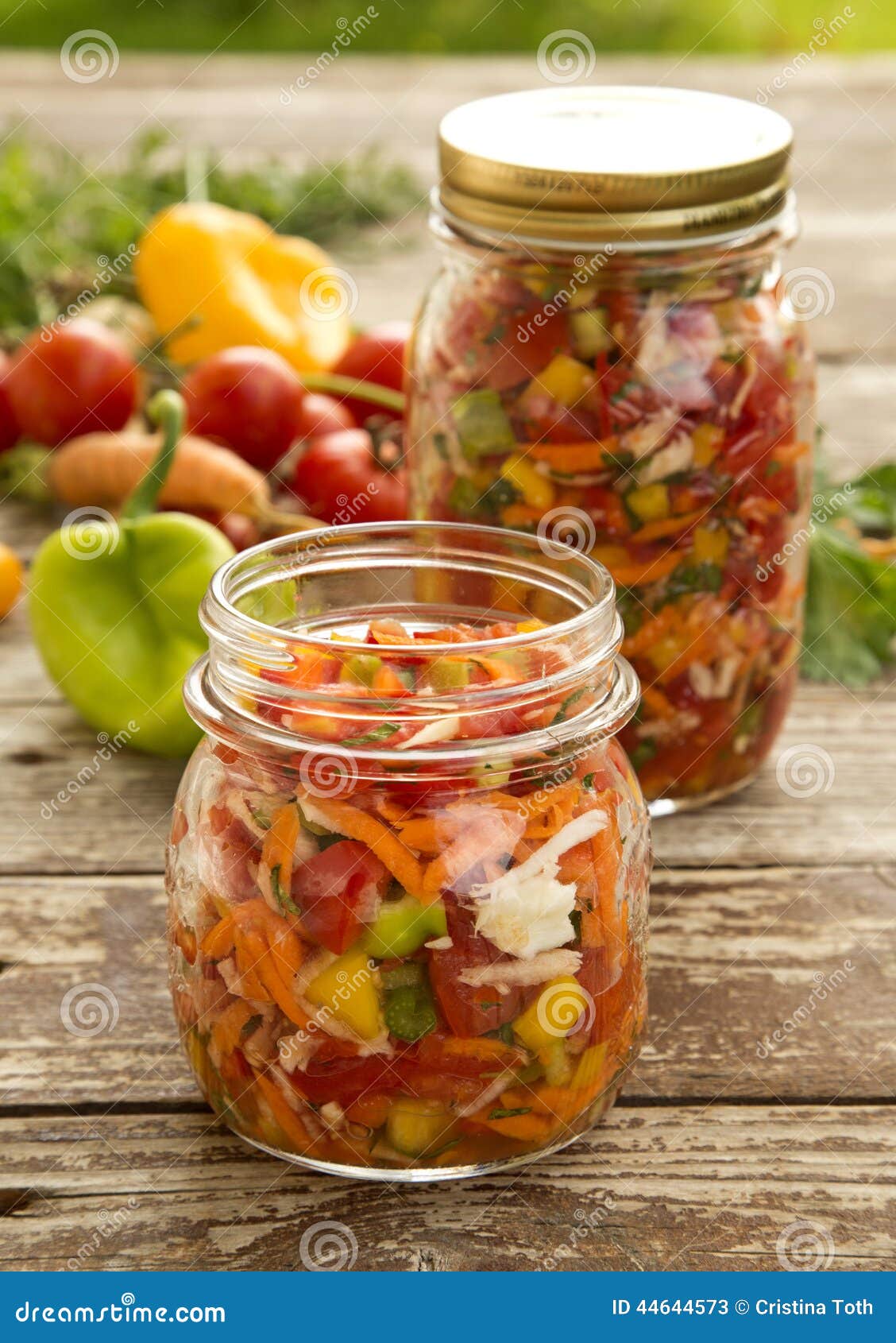 Vegetable Preserved in Jars Stock Image - Image of soups, vegetable ...