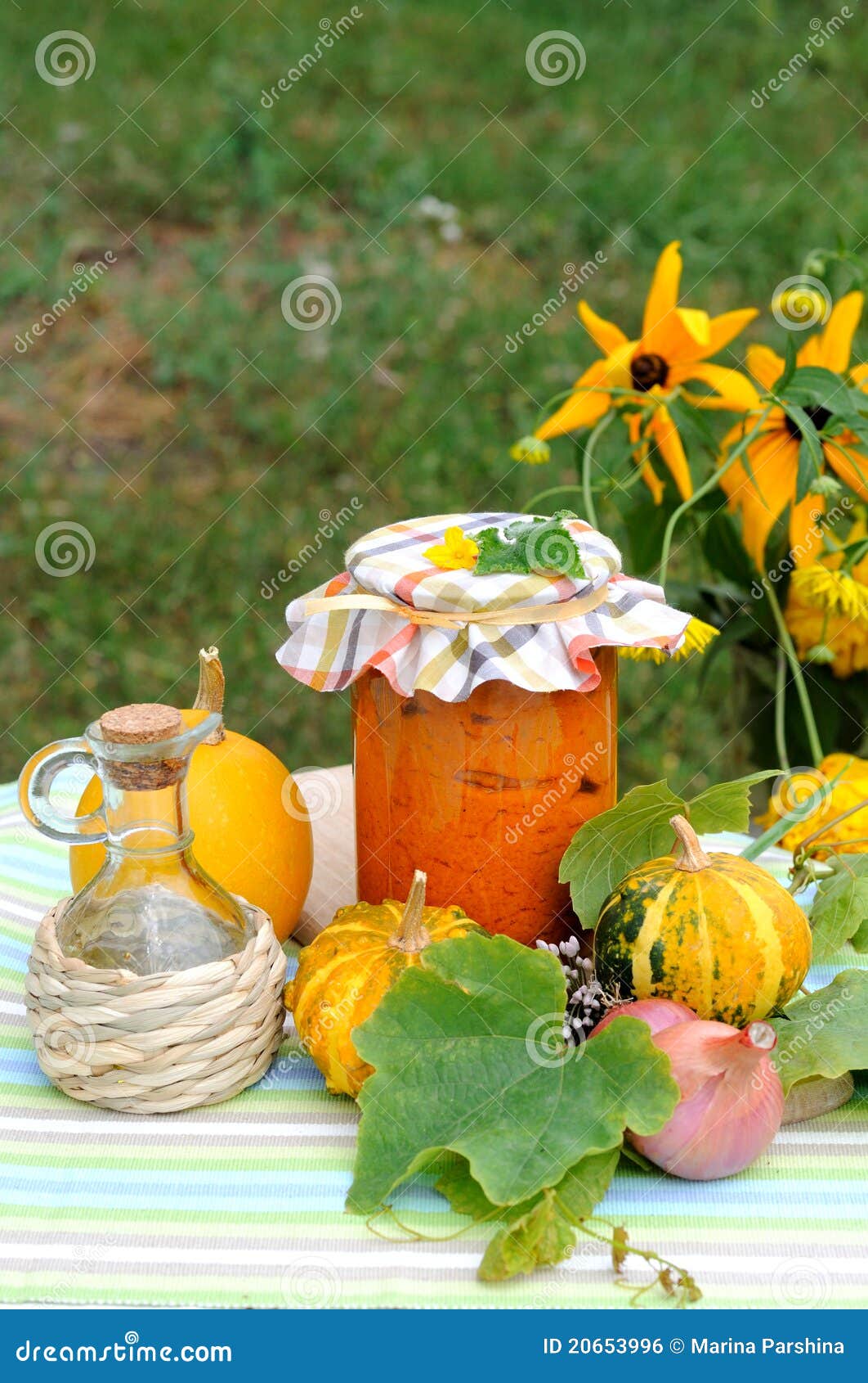 Vegetable puree stock photo. Image of puree, domestic - 20653996