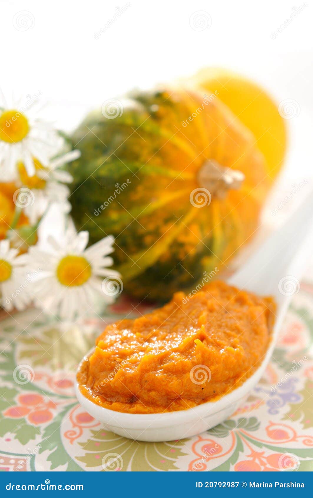 Vegetable puree stock image. Image of spice, pureed, squash - 20792987