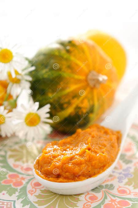 Vegetable puree stock image. Image of spice, pureed, squash - 20792987