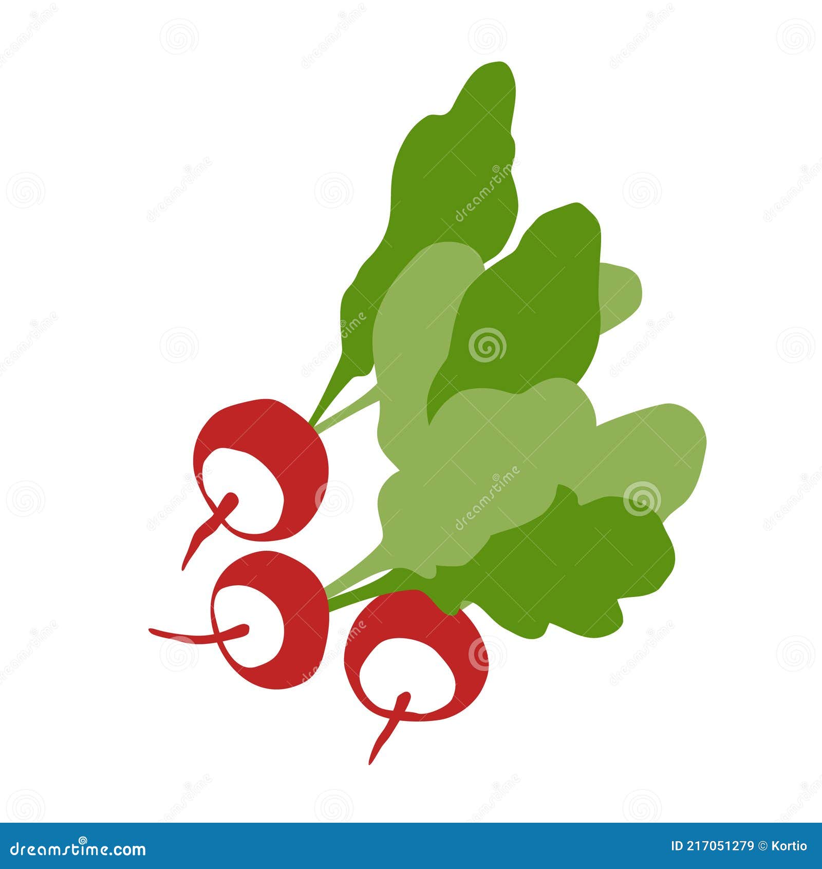 Vegetable. Radish. Vector Drawing in a Flat Style Stock Vector ...