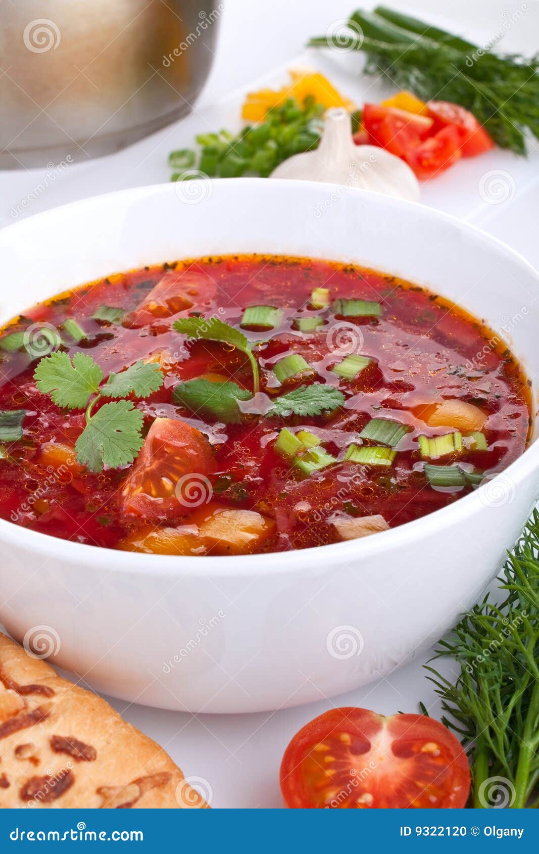 Vegetable red-beet soup stock photo. Image of borscht - 9322120