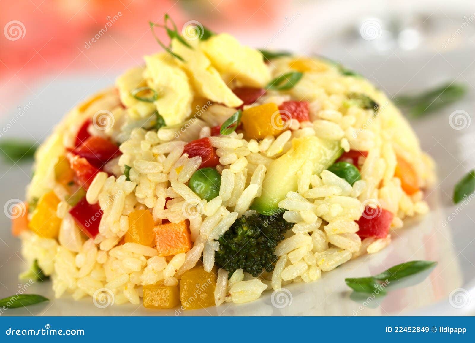 Vegetable Risotto stock image. Image of selective, shot - 22452849