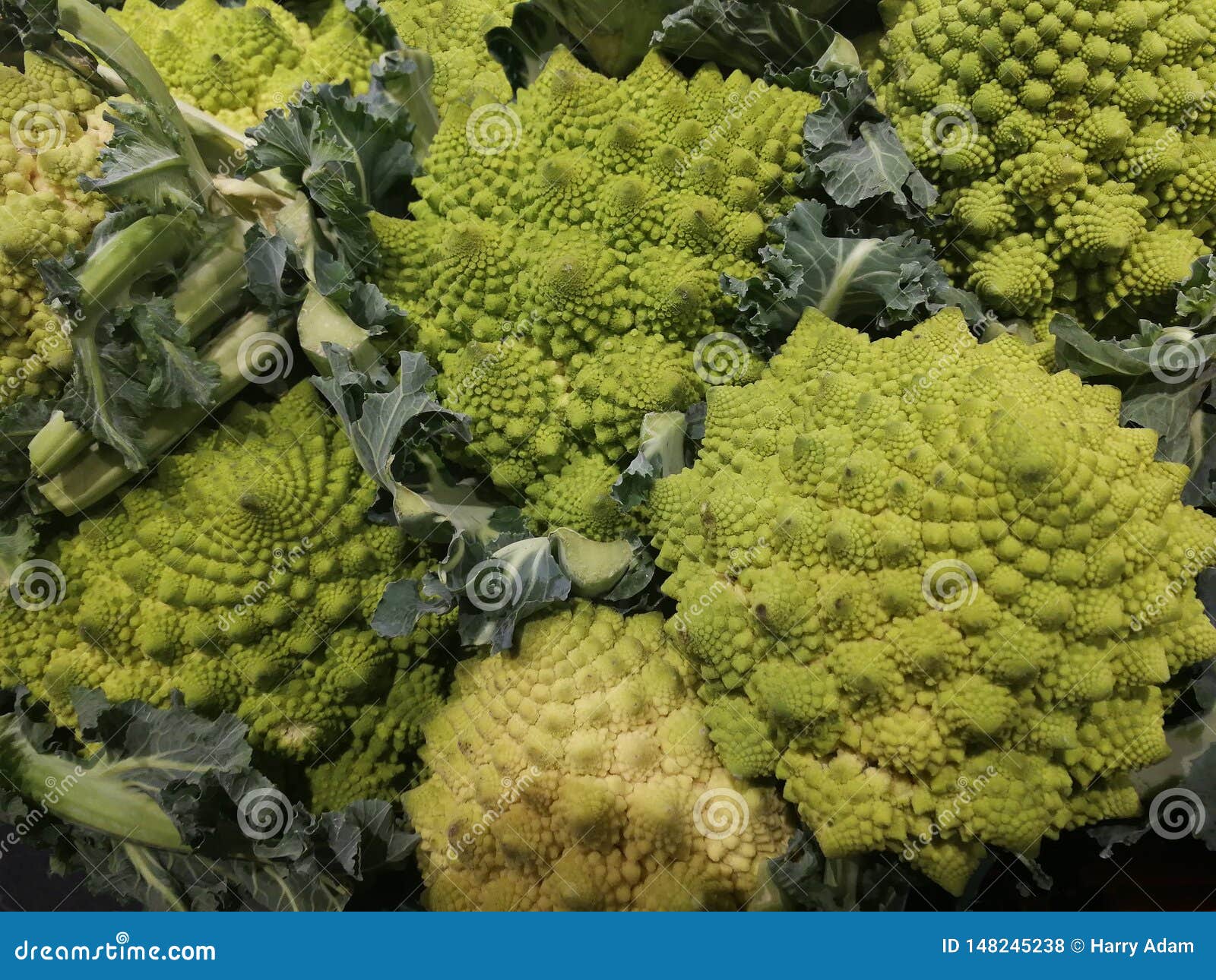 Vegetable - Romanesco Cabbage Stock Photo - Image of closeup, roman ...
