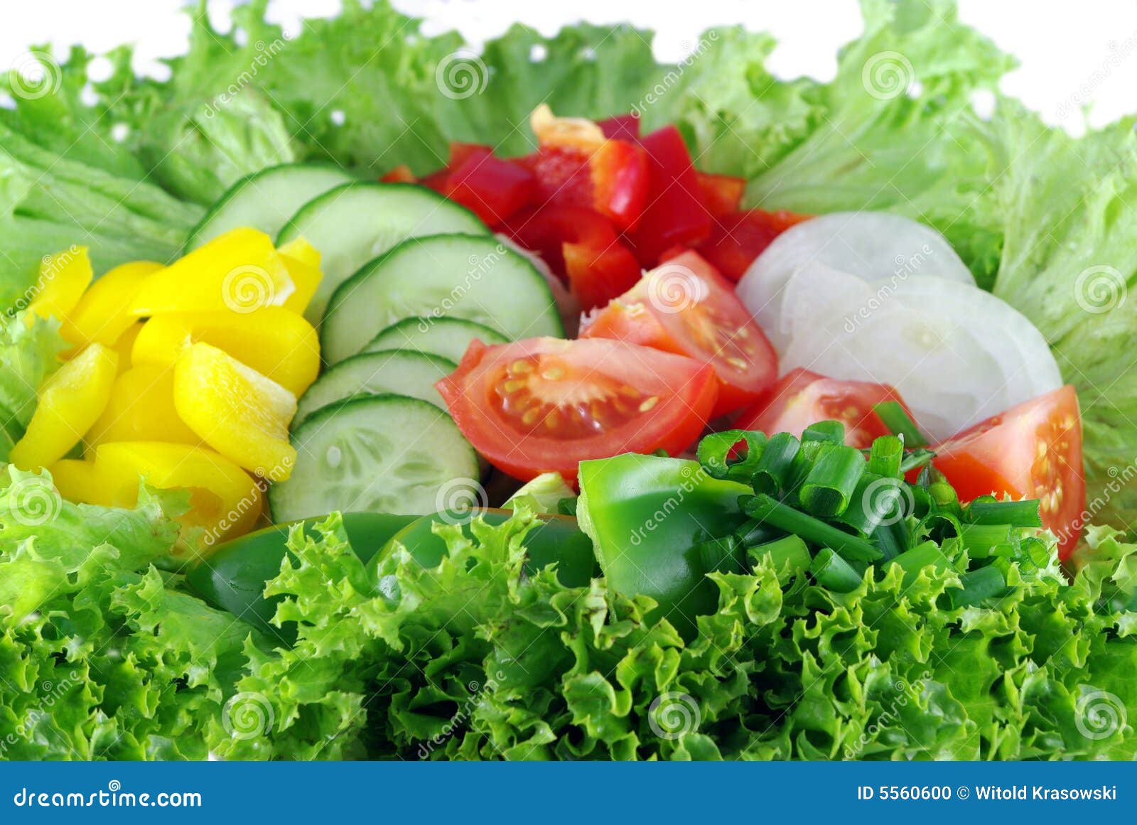 Vegetable salad stock photo. Image of cucumber, publicity - 5560600