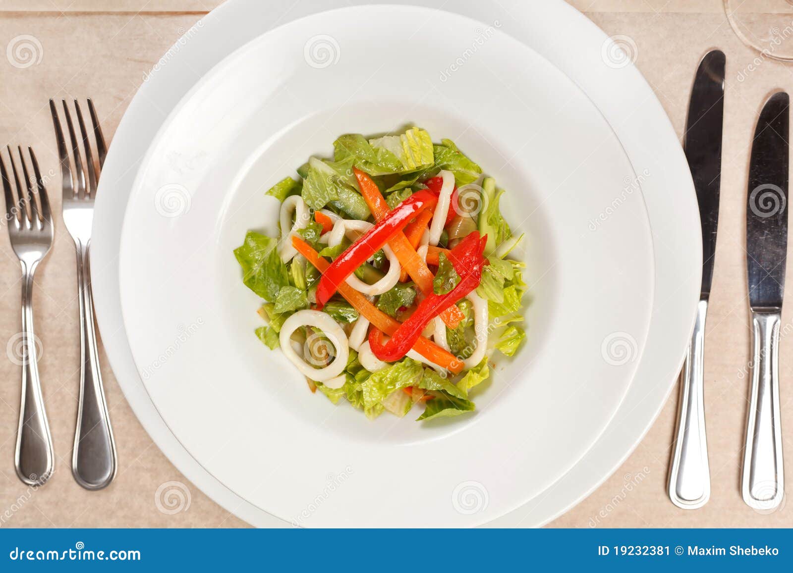 Vegetable Salad with Calamari Stock Image - Image of meal, plate: 19232381