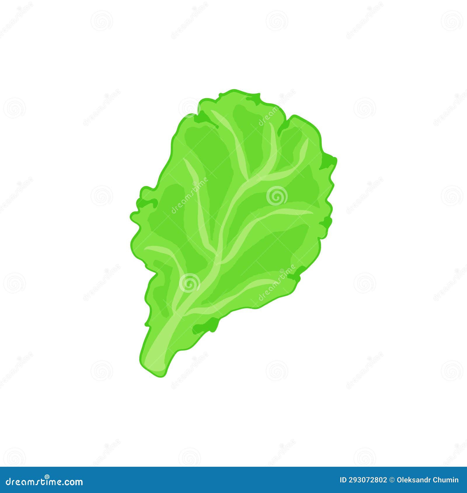 Vegetable Salad Lettuce Leaf Cartoon Stock Illustration - Illustration ...