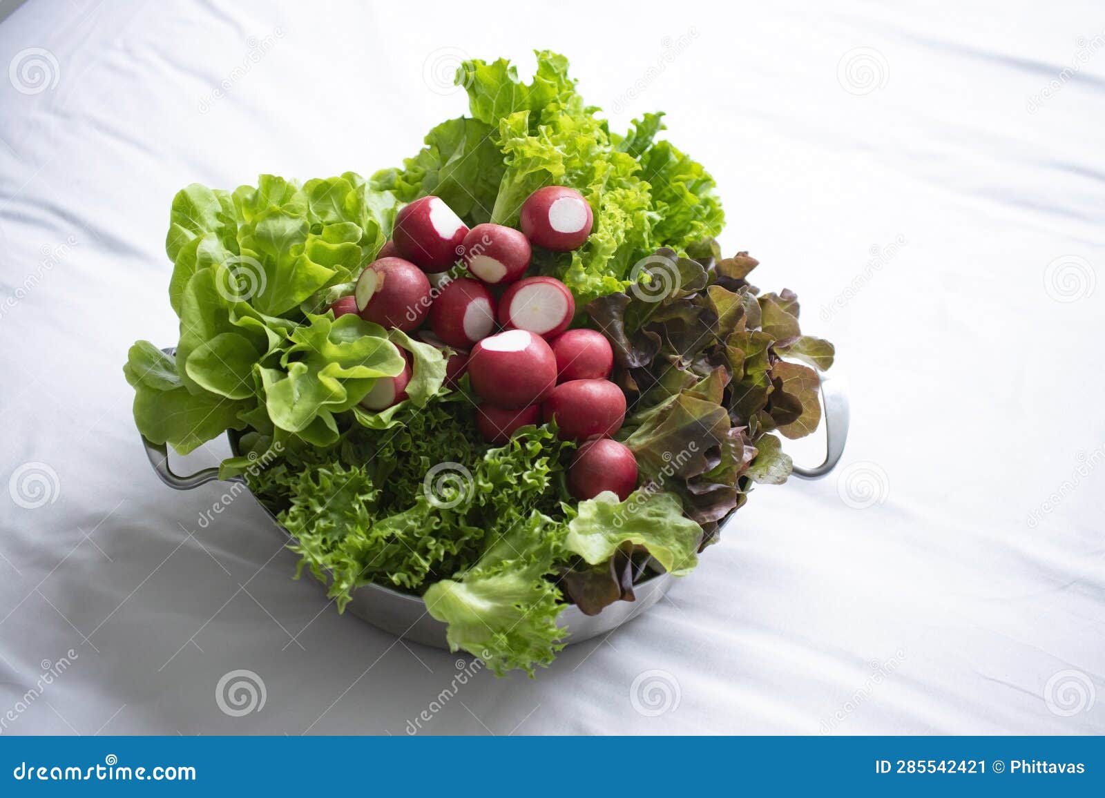 Vegetable Salad Set for Health and Life Stock Image - Image of salad ...