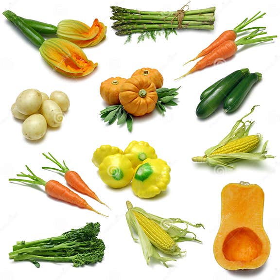 Vegetable Sampler Three stock image. Image of bunch, carrot - 6431699