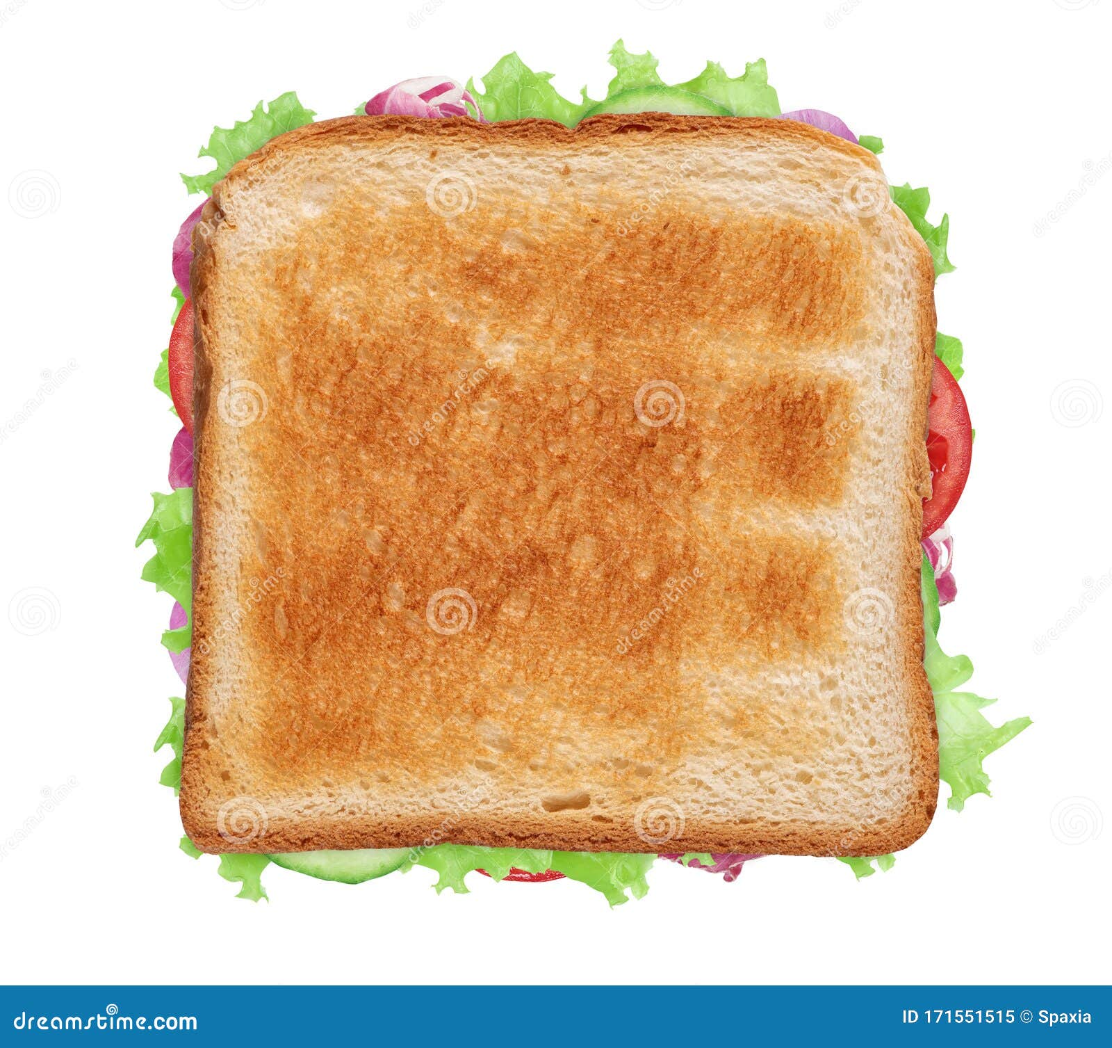 Vegetable Sandwich Top View Isolated on White Stock Image - Image of ...