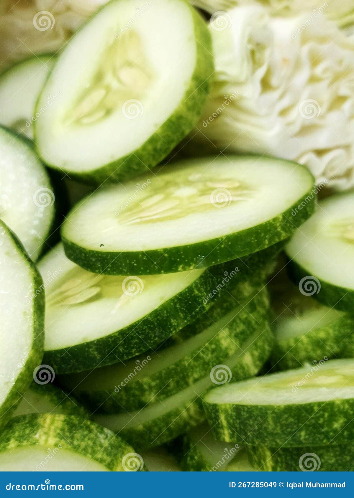 Vegetable scraps stock image. Image of scraps, fresh - 267285049