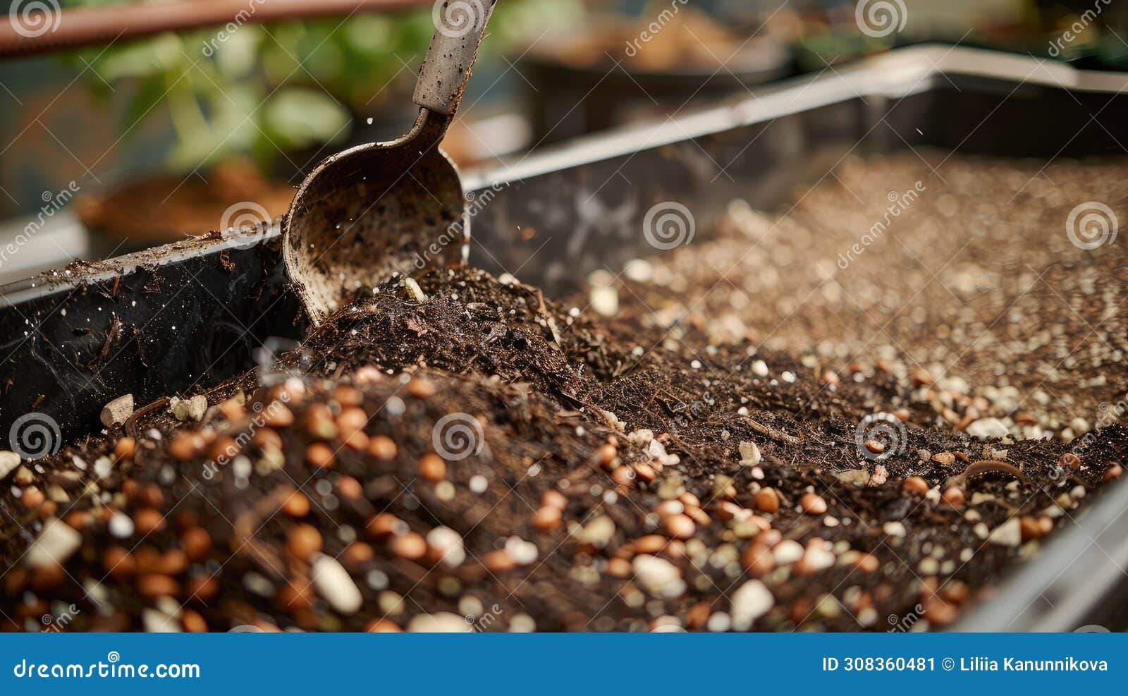 Vegetable Seeds with a Mix of Coco Coir, Peat, and Perlite, Showcasing ...
