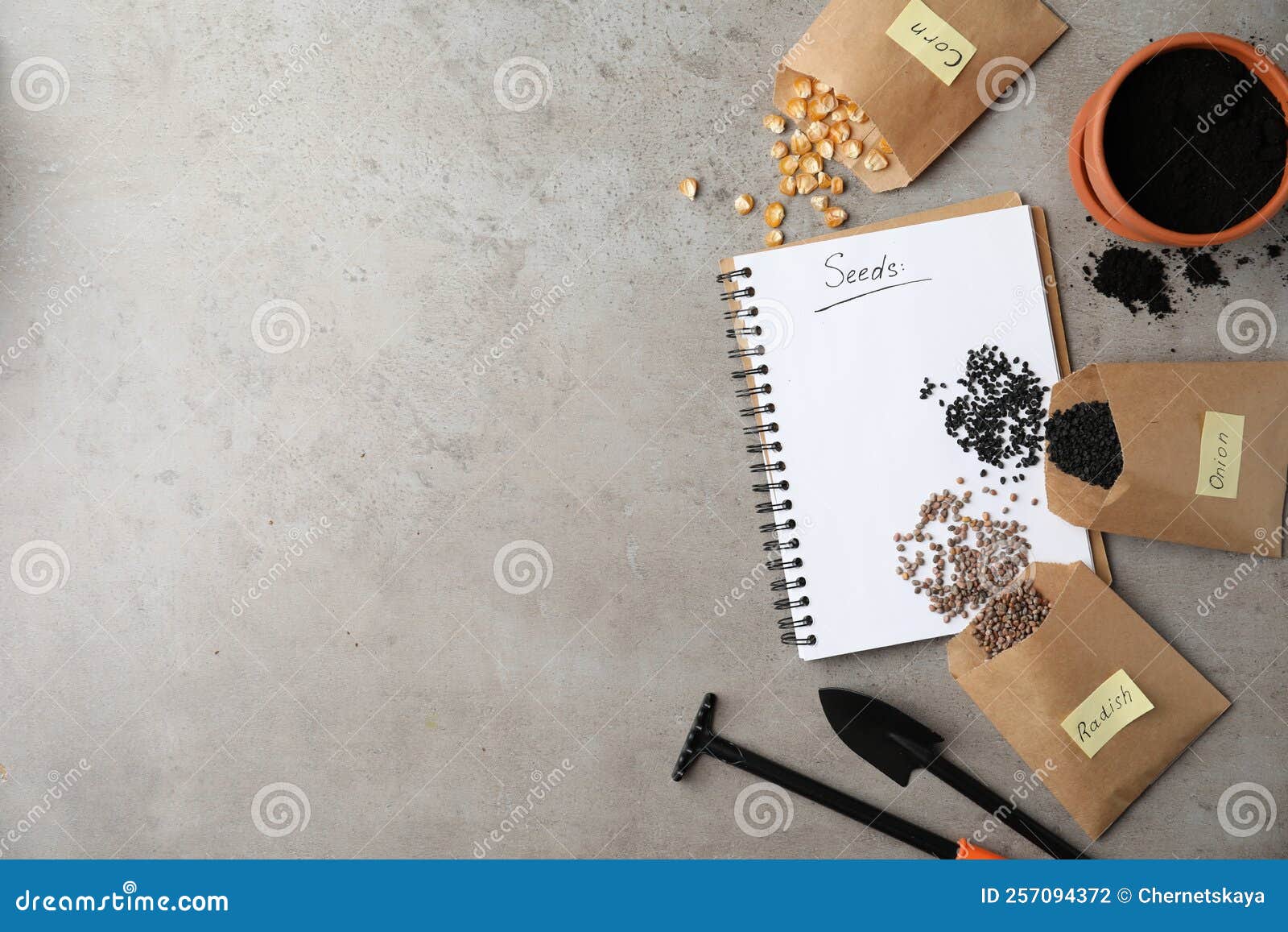 Vegetable Seeds, Notebook and Gardening Tools on Grey Table, Flat Lay ...