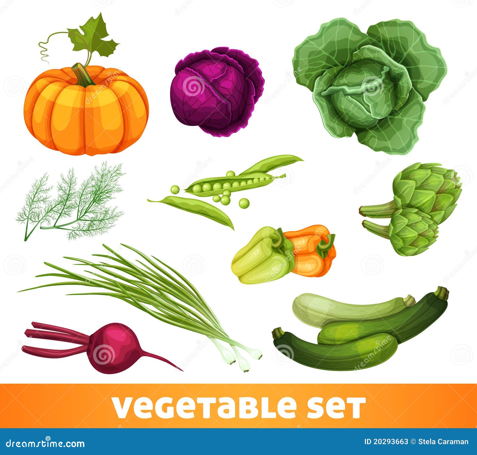 Vegetable set stock vector. Illustration of isolated - 20293663