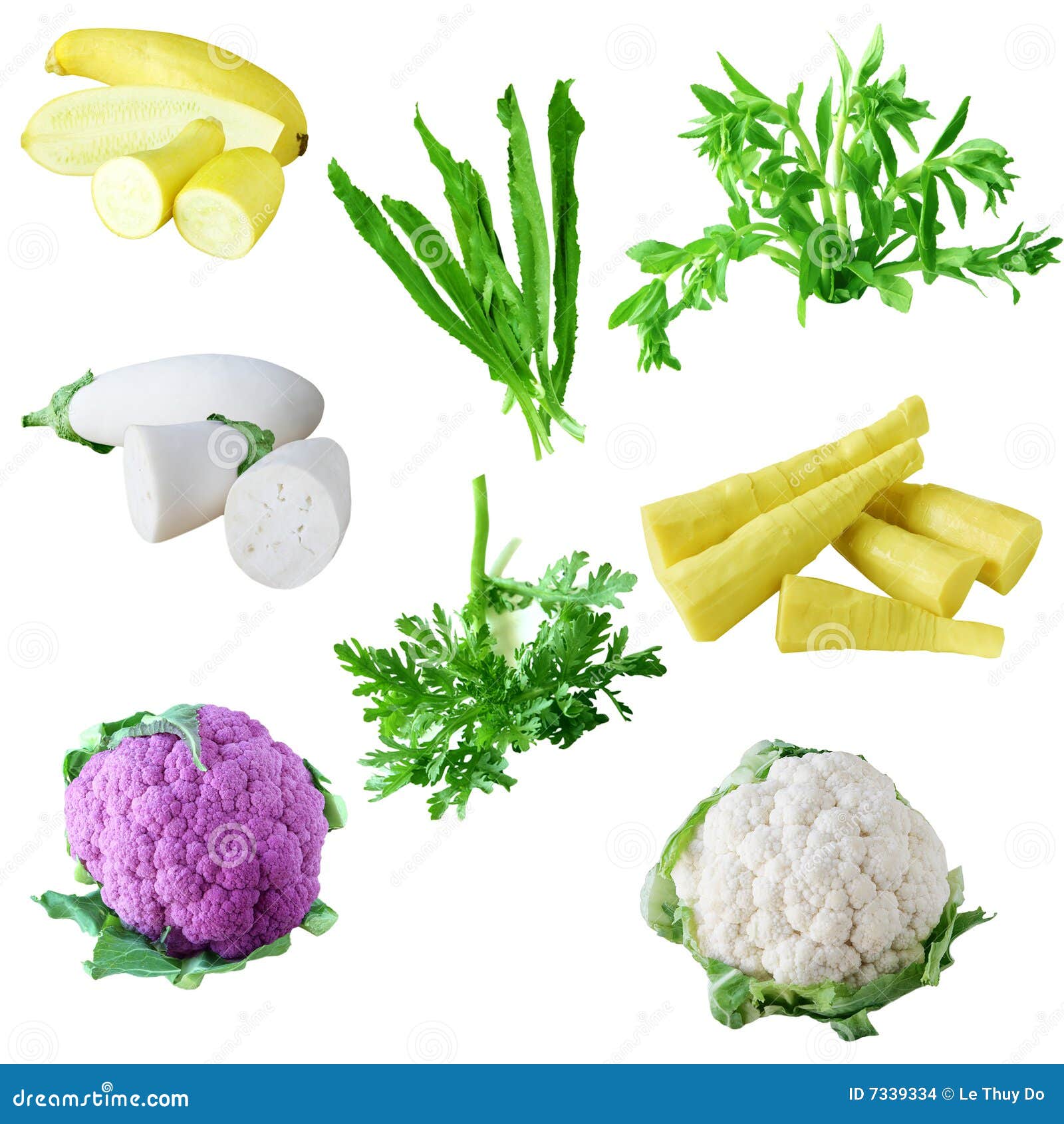 Vegetable Set stock photo. Image of bamboo, summer, eggplant - 7339334