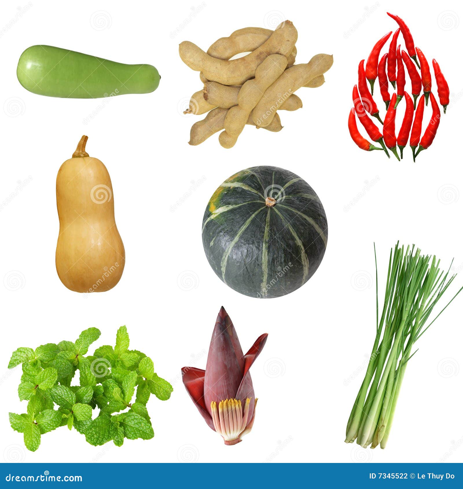 Vegetable Set stock photo. Image of healthy, herb, flower - 7345522
