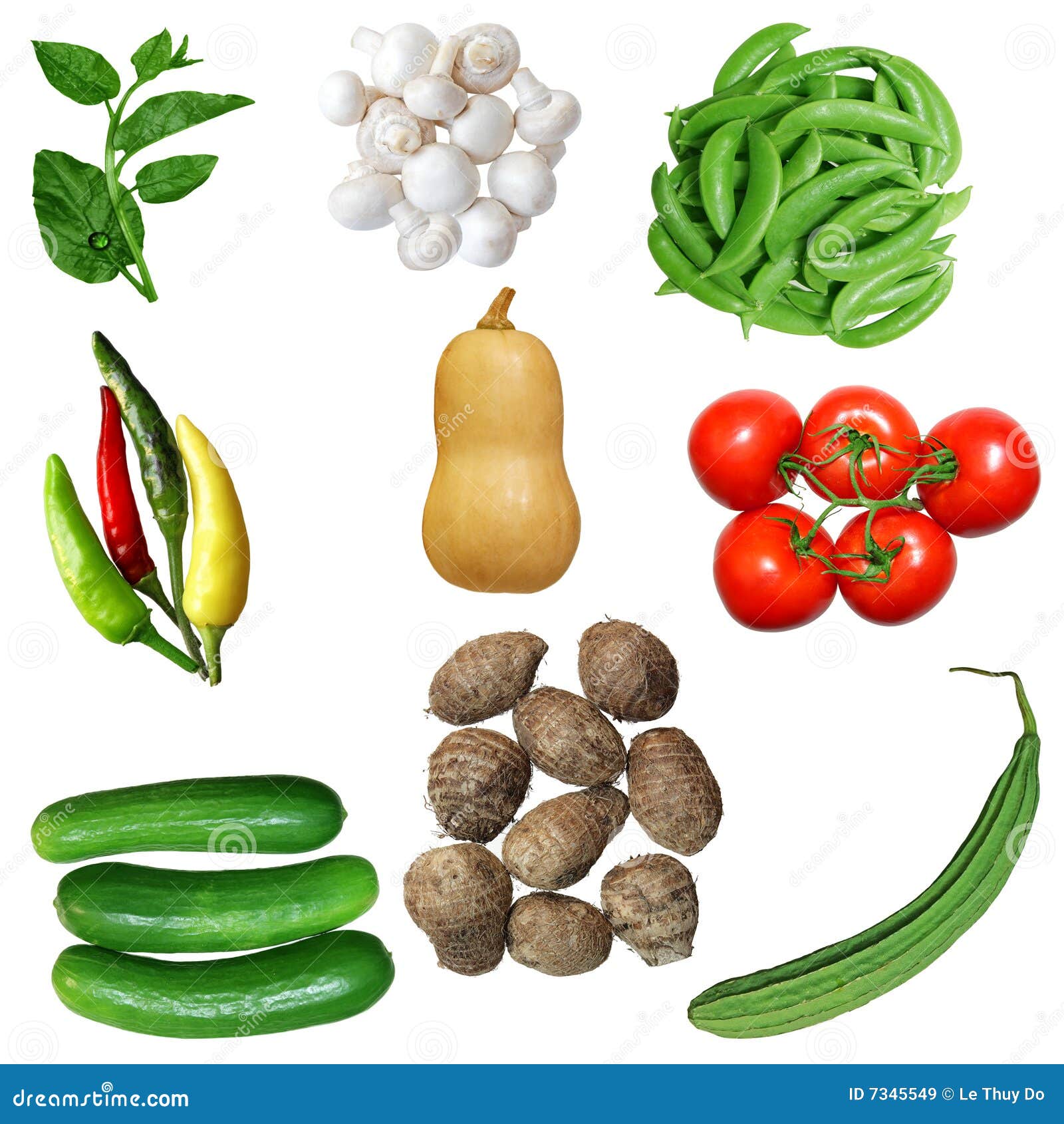 Vegetable set stock image. Image of healthy, malabar, nutrition - 7345549